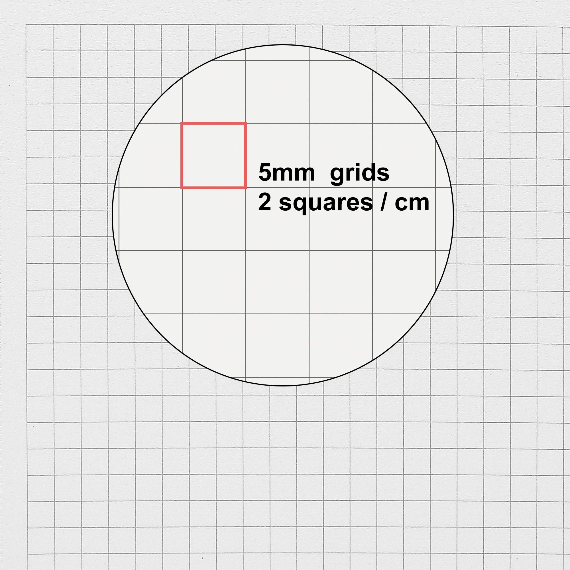 HULYTRAAT Hardcover Graph Ruled Spiral Notebook, 5.8 x 8.3 Inches A5, Transparent, 160-Page 80-Sheet Square Grid Journal (AWPPS1)