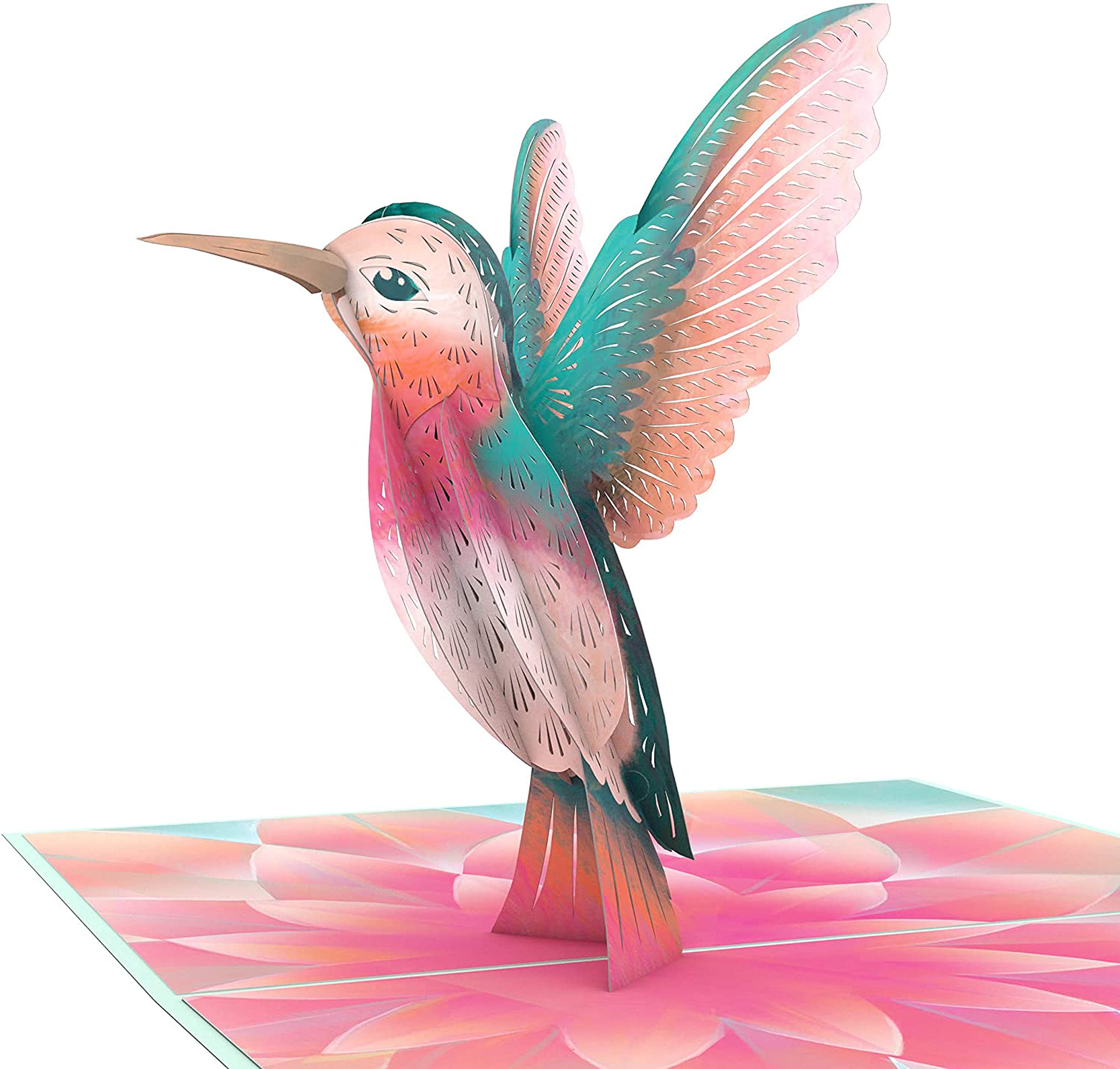 Lovepop Lovely Hummingbird Pop Up Card, 5x7 - 3D Greeting Card, Cards for Mom, Thinking of You, Love Card