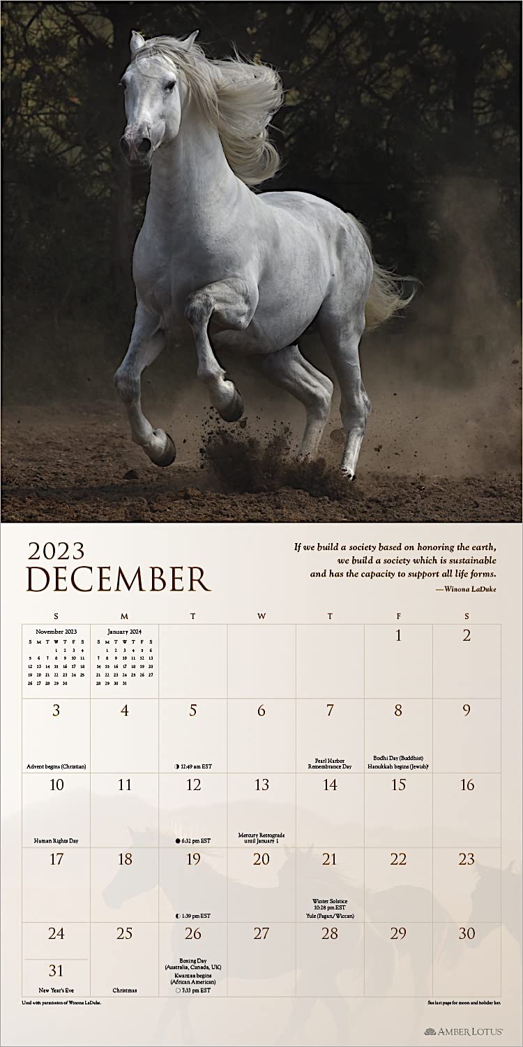 Spirit Horses 2023 Wall Calendar by Tony Stromberg | 12" x 24" Open | Amber Lotus Publishing