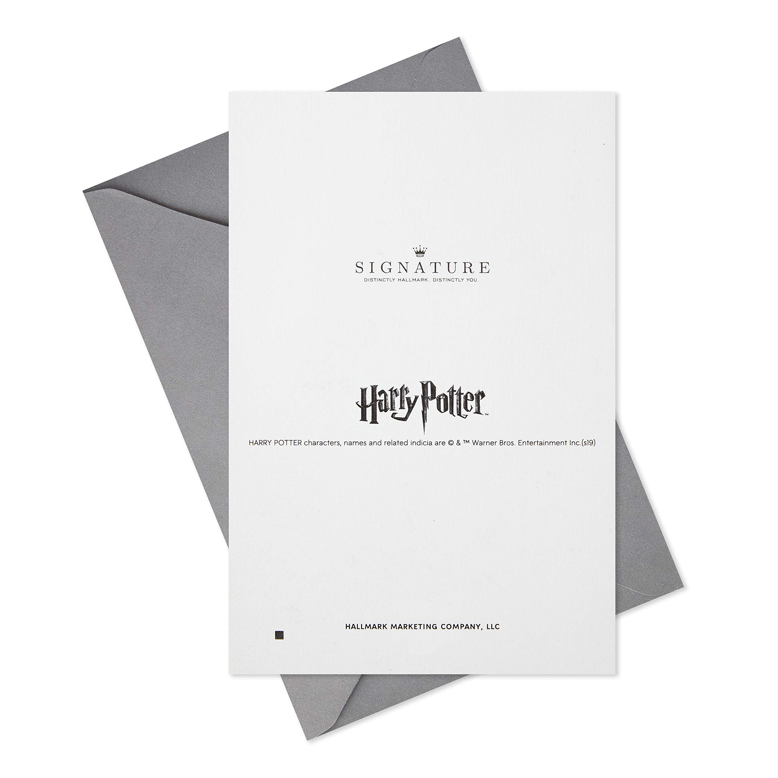 Hallmark Signature Harry Potter Birthday Card (Favorite Things)