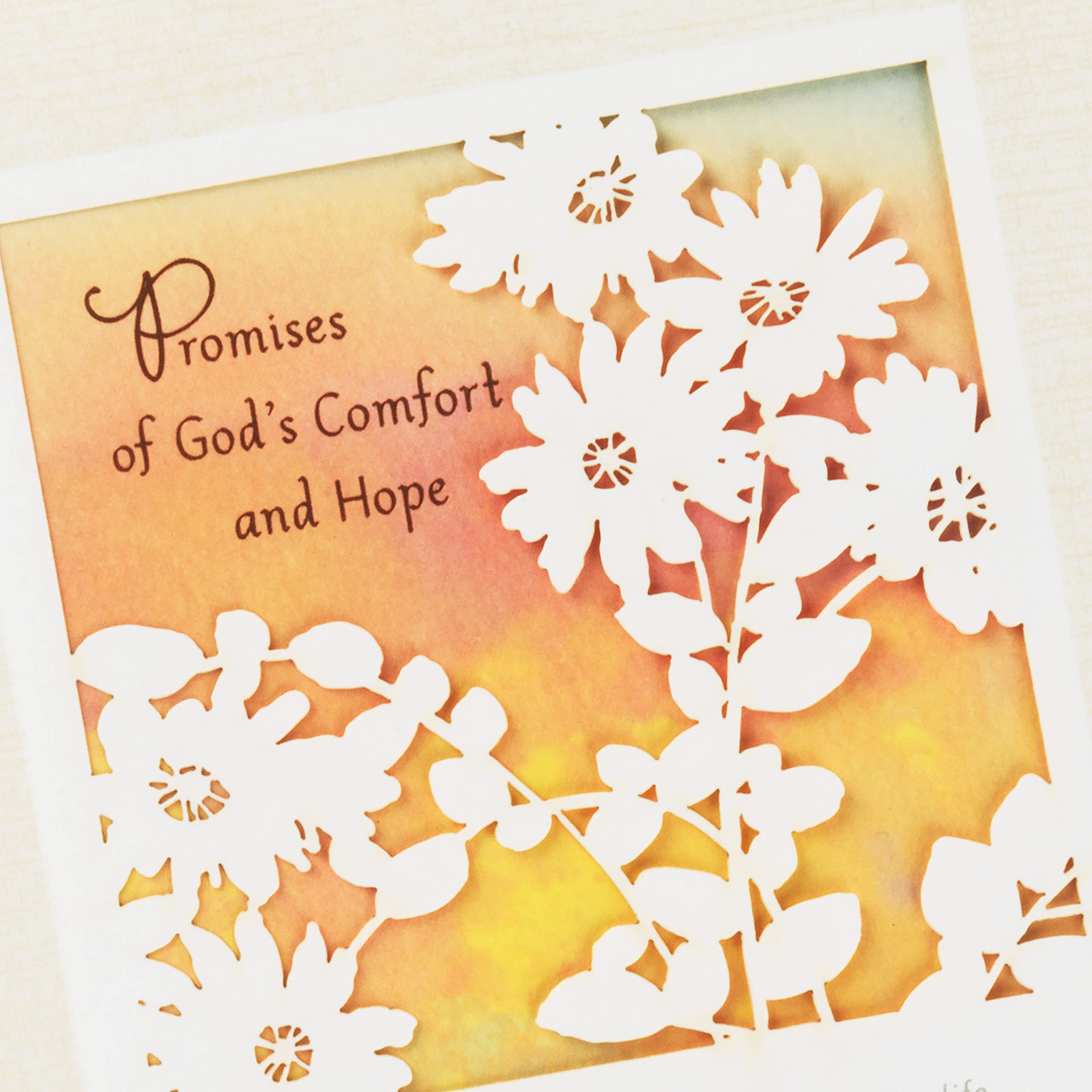 Hallmark DaySpring Religious Sympathy Card (God's Comfort and Hope) (5RZA1034)