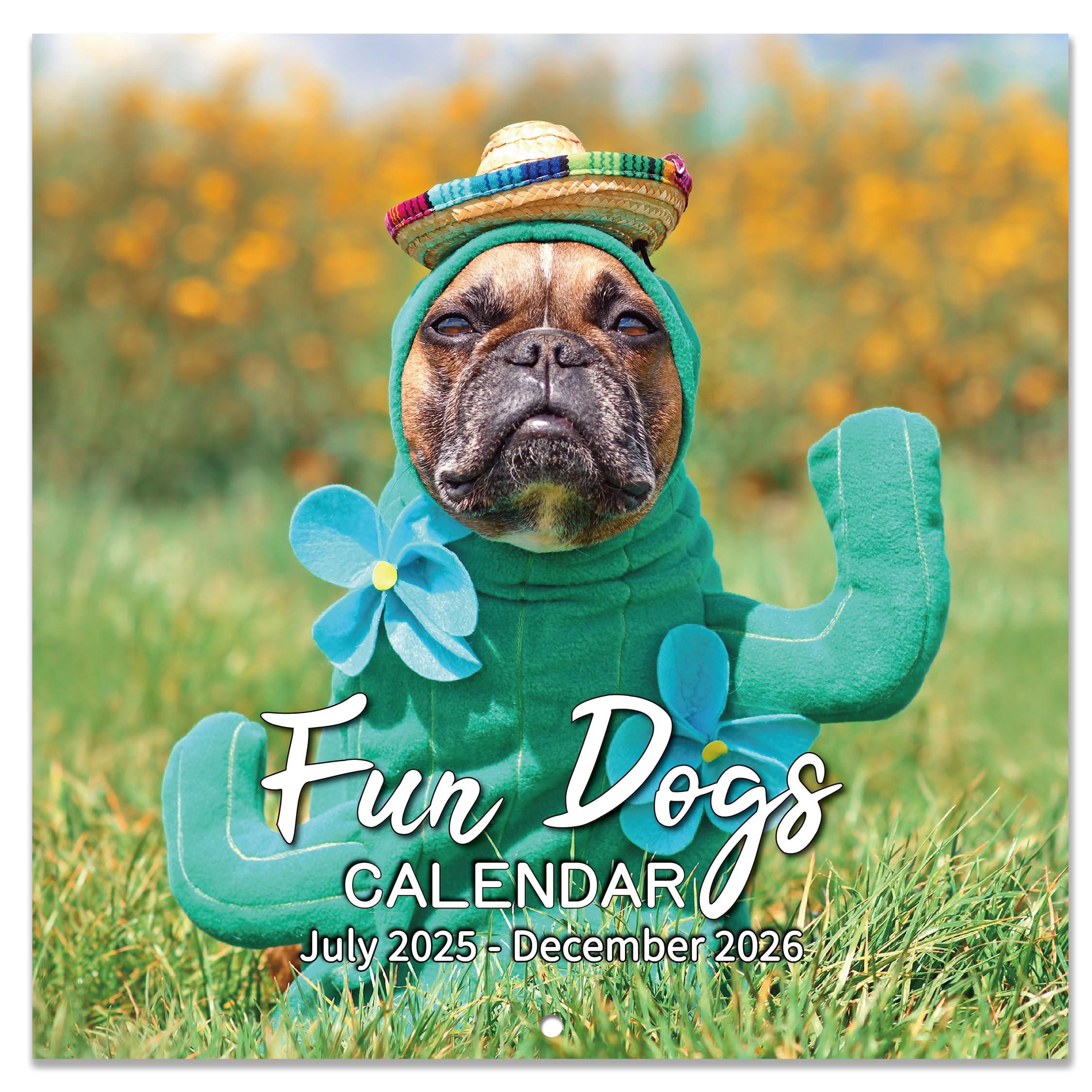 2023-2024 Wall Calendar - Cute Puppies Wall Calendar 2023-2024, Fun Dogs Wall Calendar, Jan. 2023 - Jun. 2024, 12'' x 12'' (Closed), 12'' x 24'' (Open), Dog Calendar, Hanging Hole, Holidays