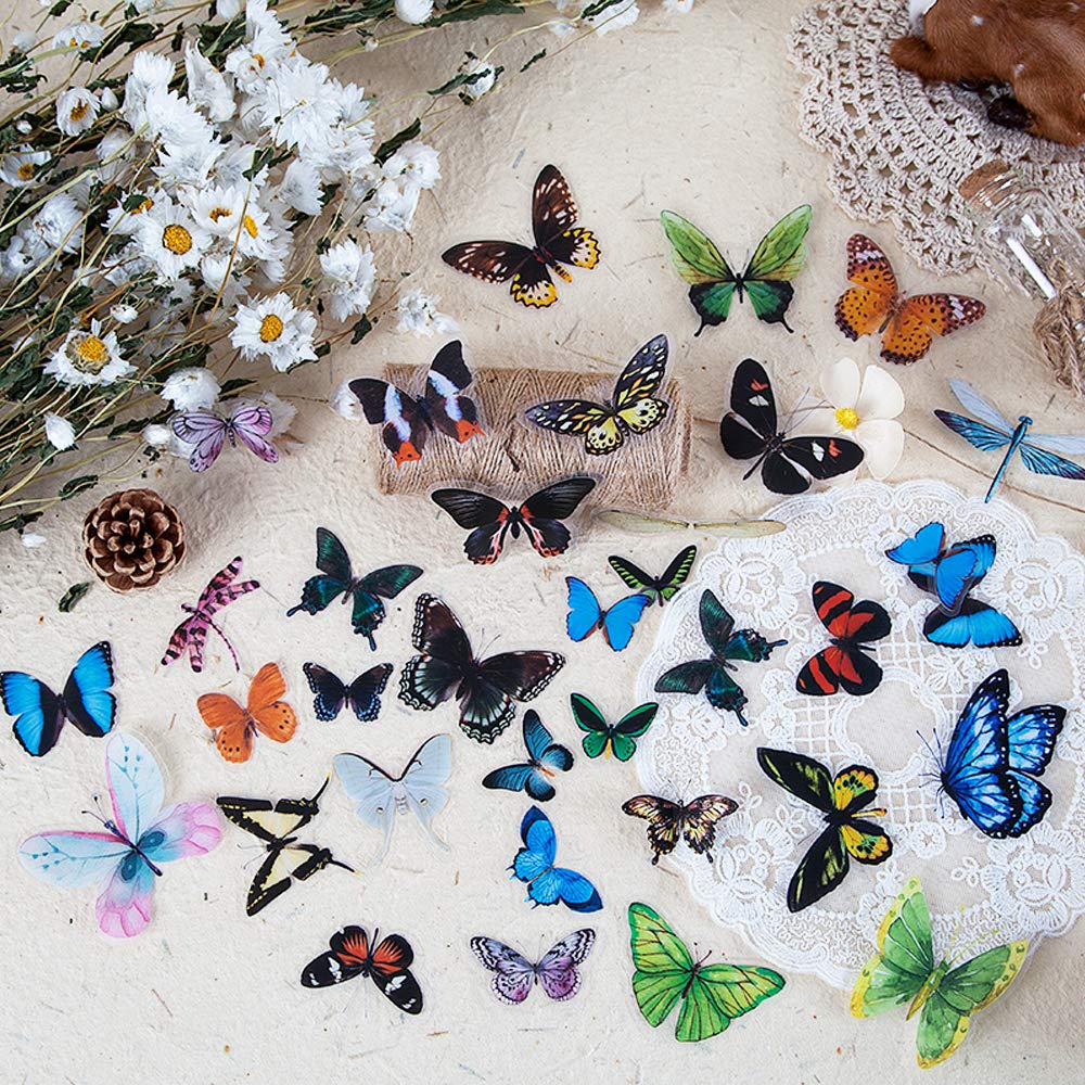 Knaid Butterfly Dragonfly Insects Stickers Set (240 Pieces) - PET Transparent Waterproof Decorative Decals for Scrapbook DIY Crafts Album Bullet Journal Planner Water Bottles Phone Cases Laptops