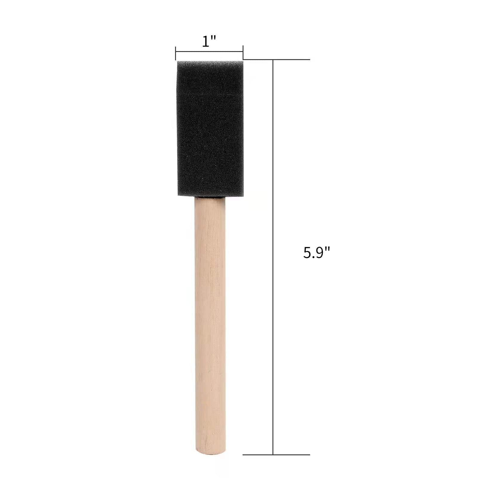 Mister Rui-Poly Foam Paint Brushes, 12 Pack, 1 Inch Sponge Brushes for Painting, Paint Sponges Set, Light and Durable, Ideal for Painting and Cleaning