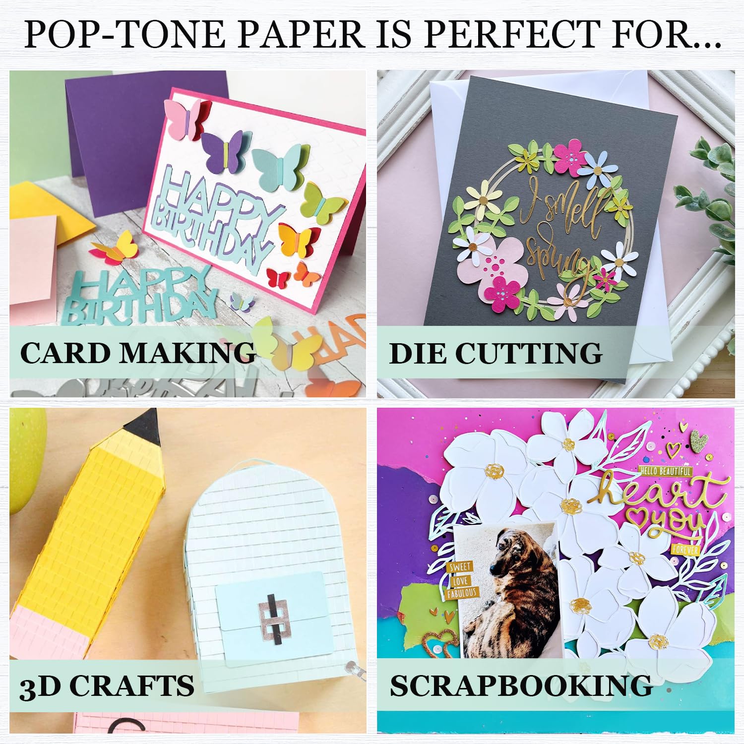 Black Licorice Cardstock Paper - 12 X 12 Inch 65 Lb. Premium Cover - 25 Sheets From Cardstock Warehouse