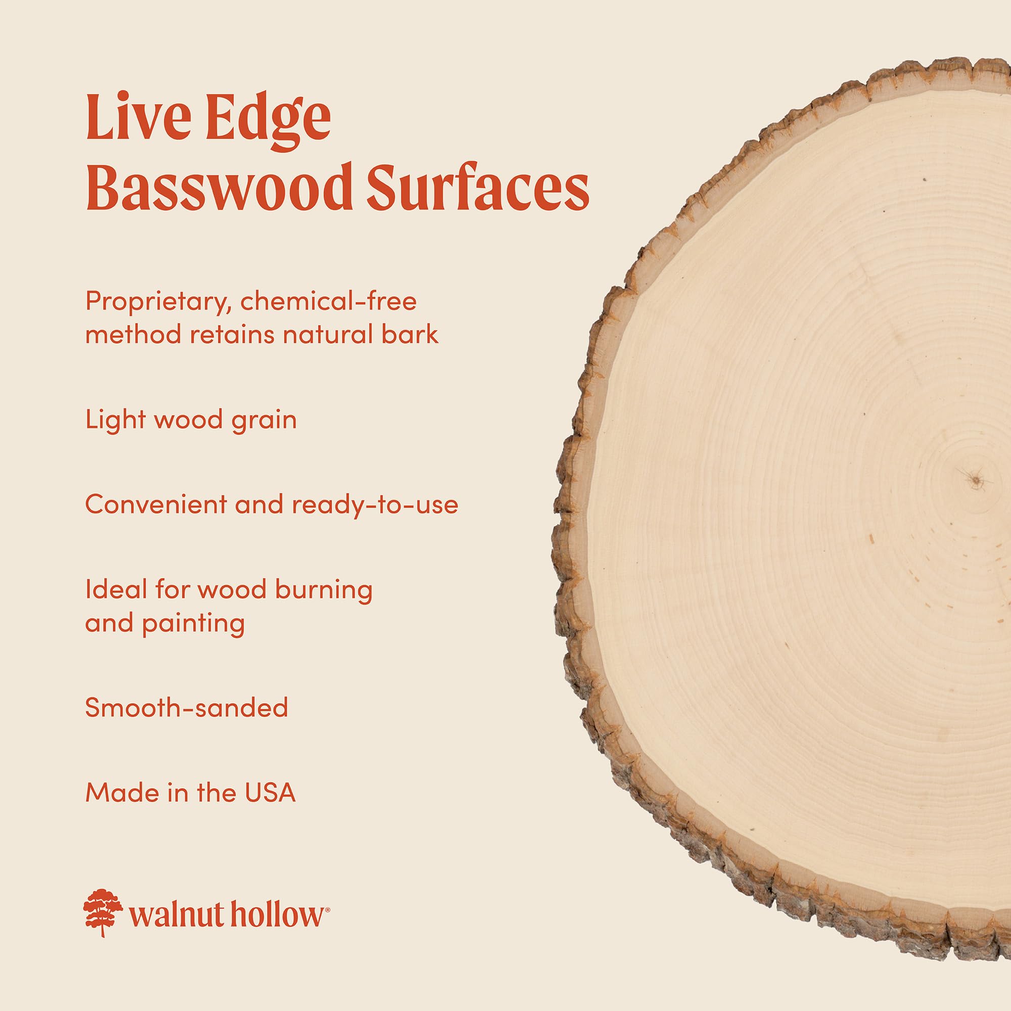 Walnut Hollow Medium Basswood Rustic Round Wood Slices with Live Edge Bark, Bulk Value Pack, 12-Pack