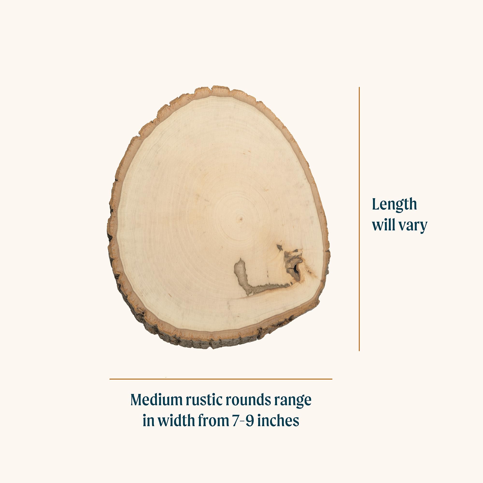 Walnut Hollow Medium Basswood Rustic Round Wood Slices with Live Edge Bark, Bulk Value Pack, 12-Pack
