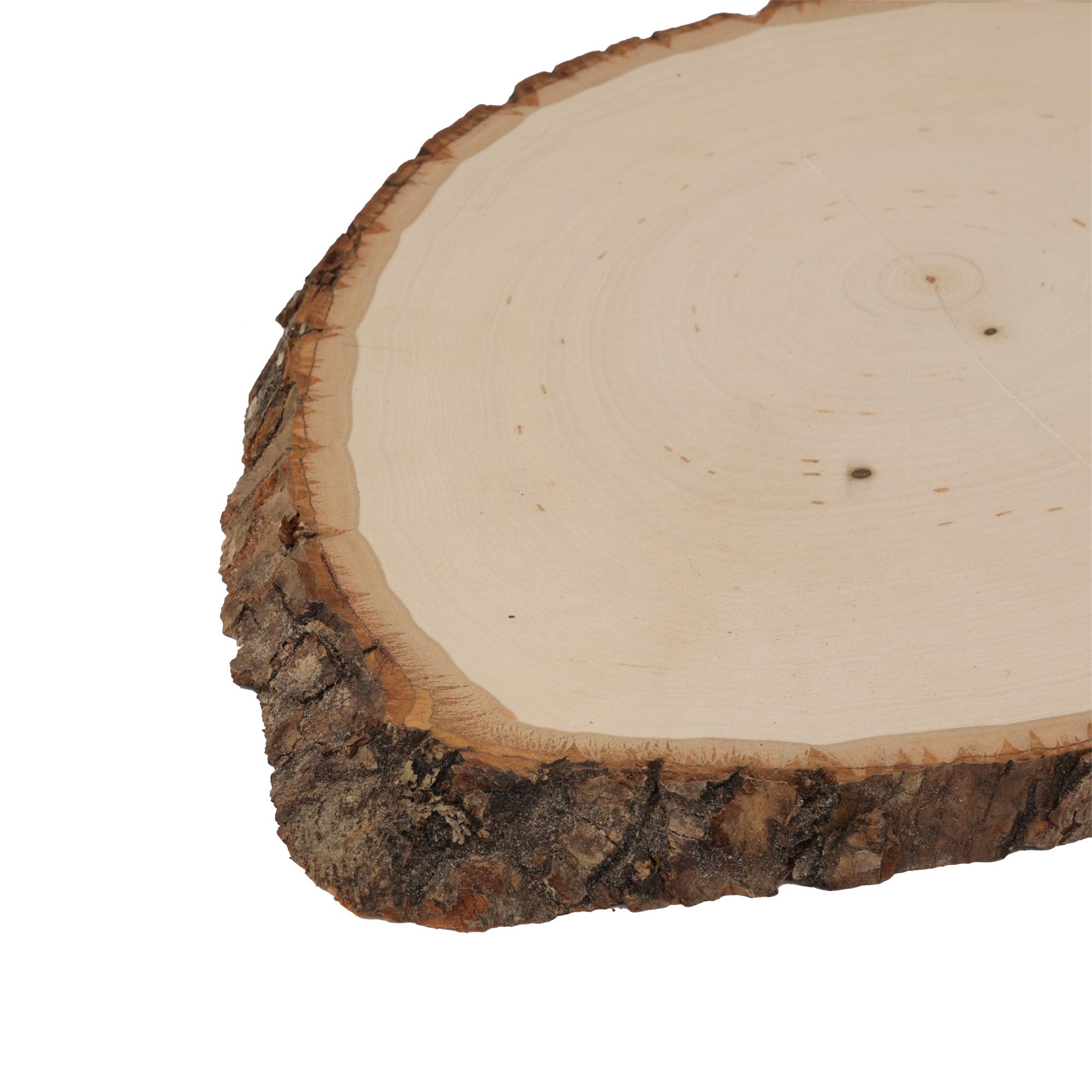 Walnut Hollow Medium Basswood Rustic Round Wood Slices with Live Edge Bark, Bulk Value Pack, 12-Pack