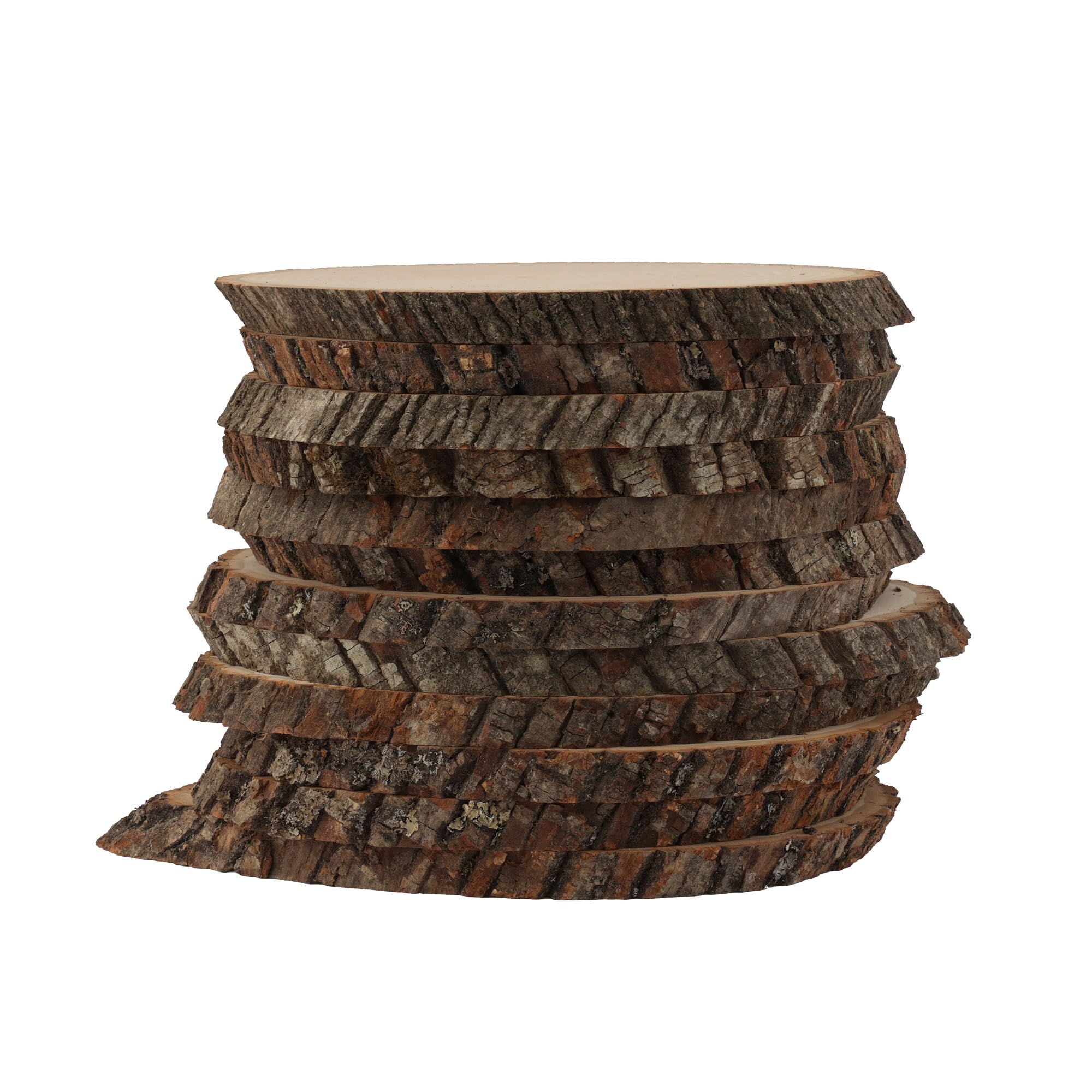 Walnut Hollow Medium Basswood Rustic Round Wood Slices with Live Edge Bark, Bulk Value Pack, 12-Pack