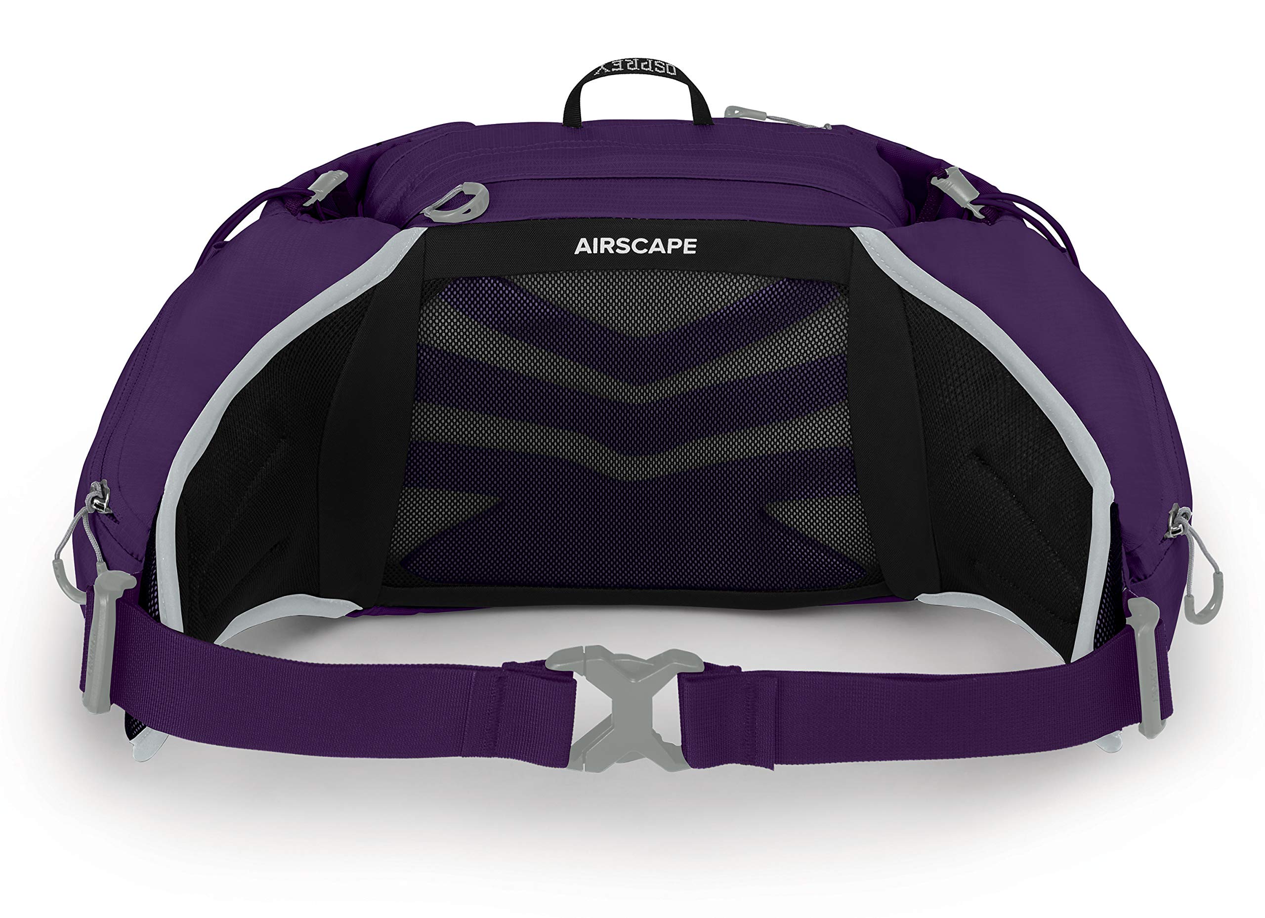 Osprey Tempest 6 Women's Lumbar Hiking Pack , Violac Purple