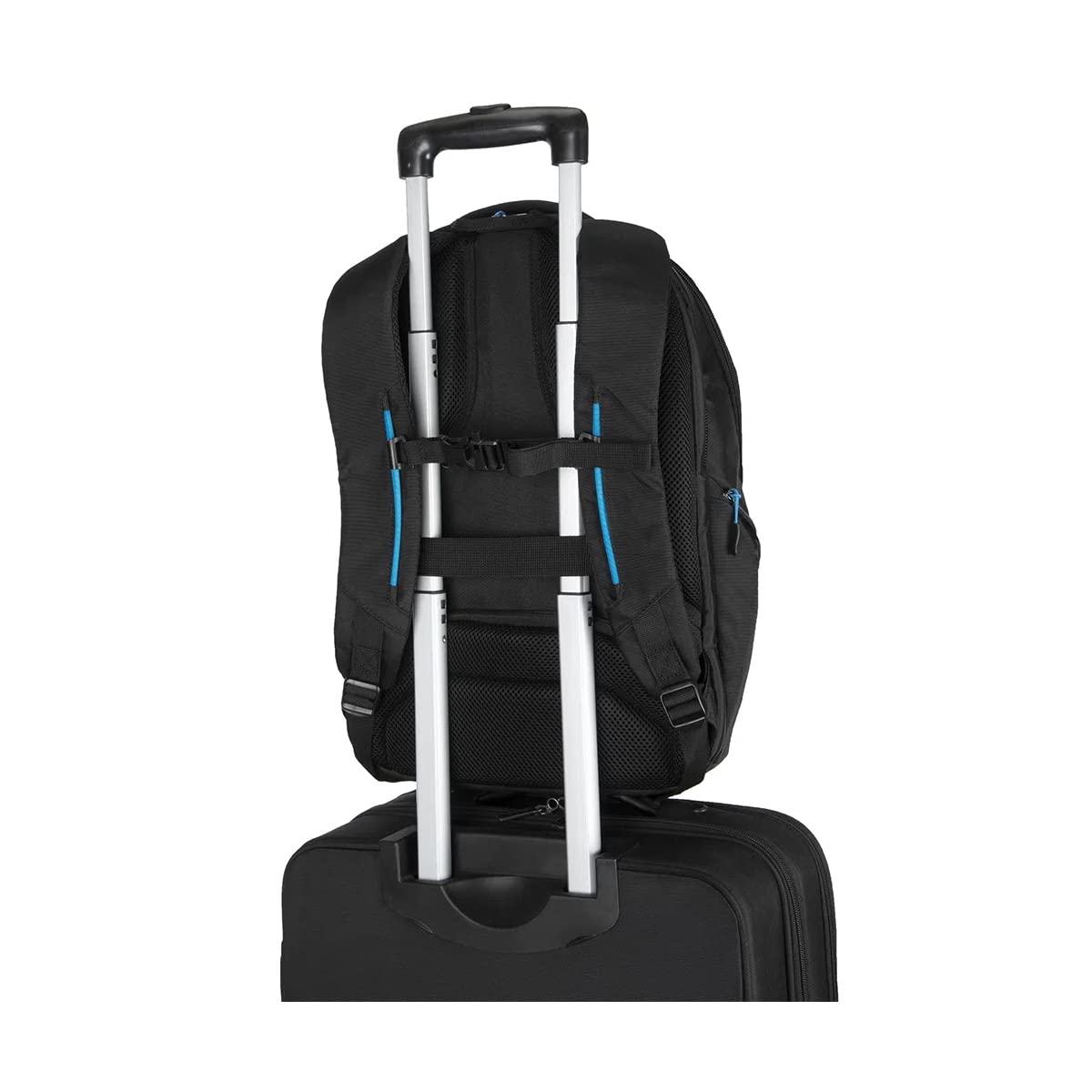 Targus Group International Targus 15.6 Commuter Backpack BLK BL