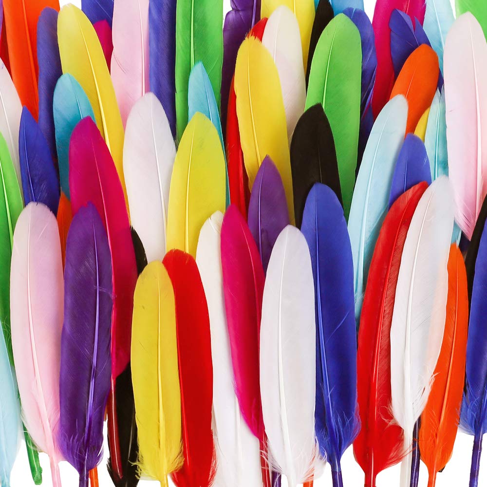 Coceca 240pcs Colorful Goose Feathers 4-6 Inches Natural Feathers for DIY Crafts