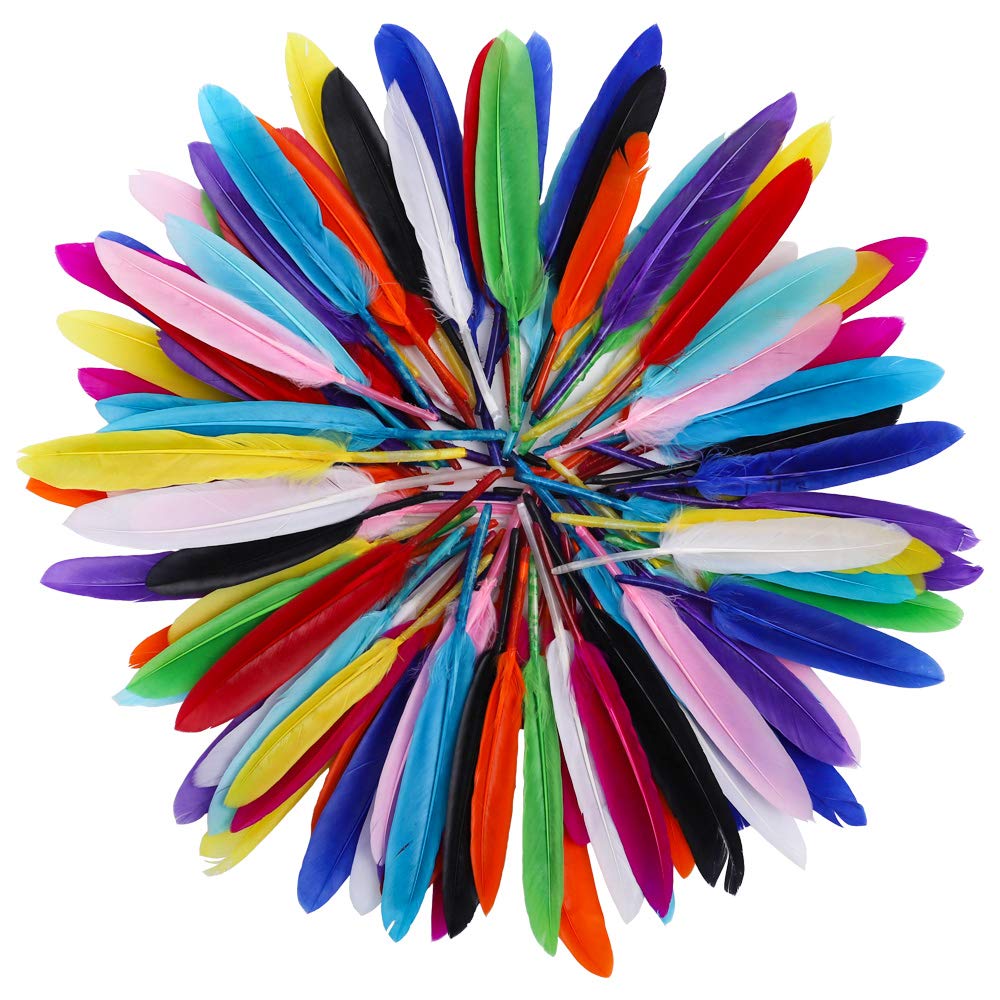 Coceca 240pcs Colorful Goose Feathers 4-6 Inches Natural Feathers for DIY Crafts