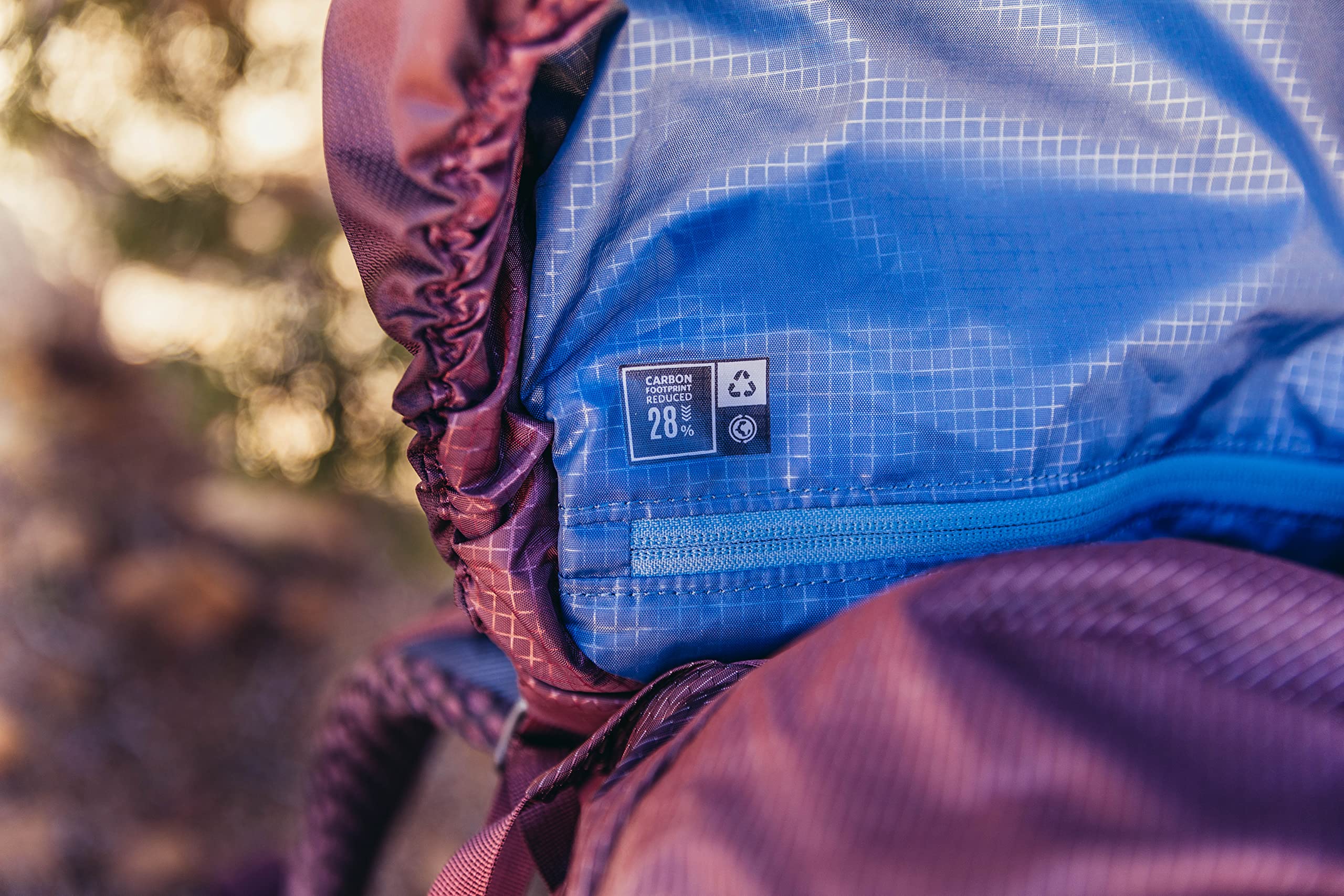 Gregory Mountain Products Deva 60 Backpacking Backpack,Eggplant,Medium