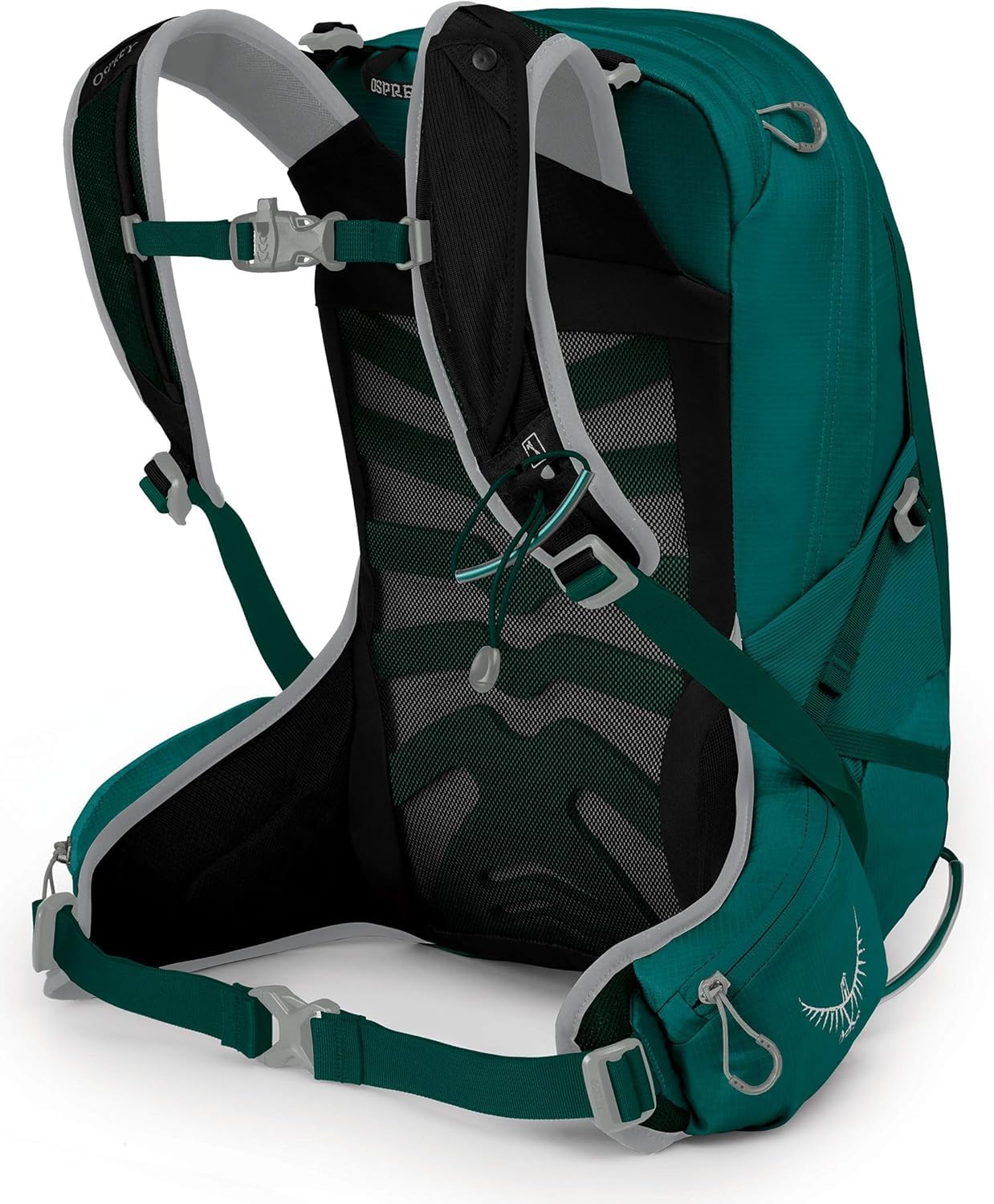 Osprey Tempest 9 Women's Hiking Backpack, Jasper Green, X-Small/Small
