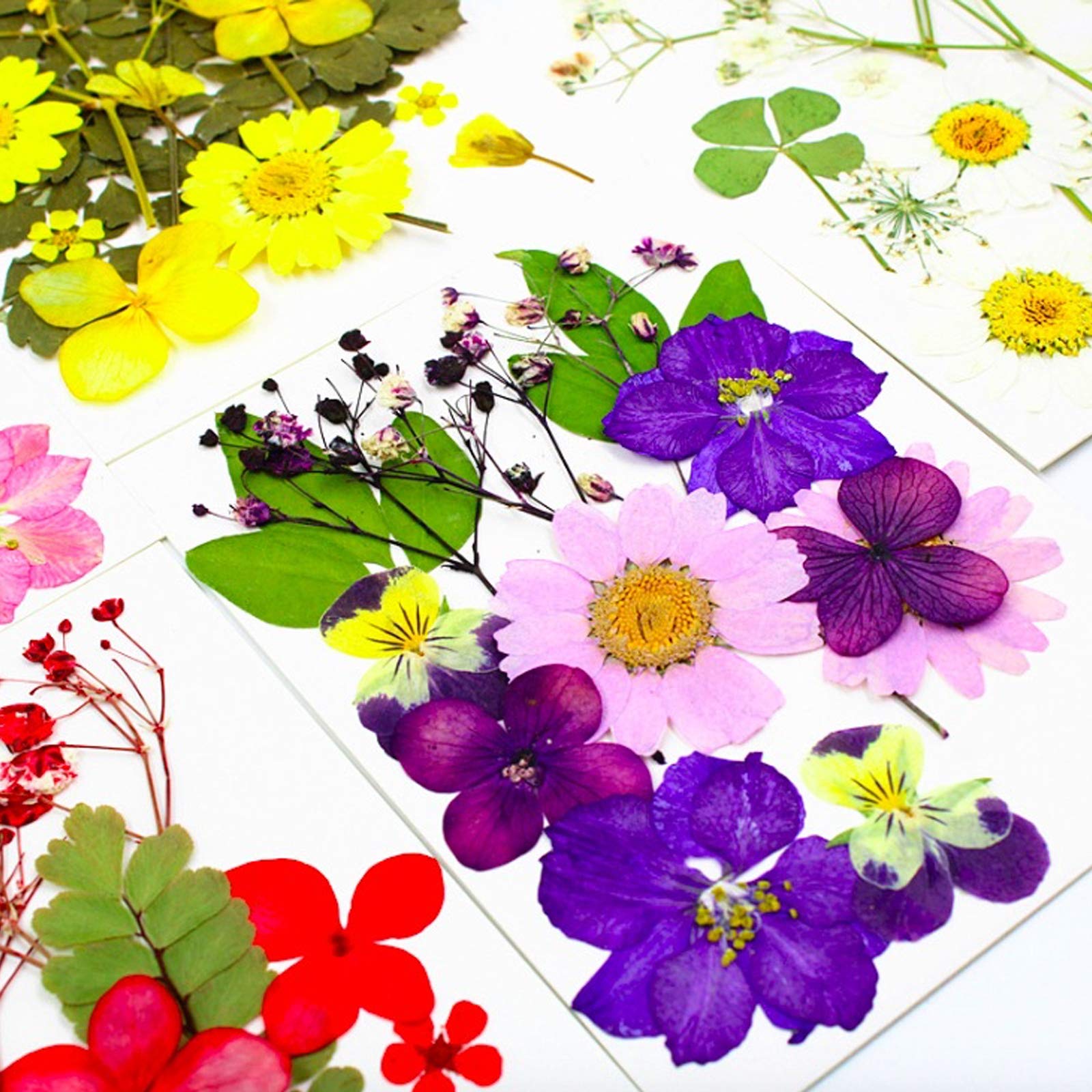 LUCISKY 92 Pcs Purple Dried Pressed Flowers Real Natural Leave Petals for DIY Resin Candle Jewelry Nail Crafts