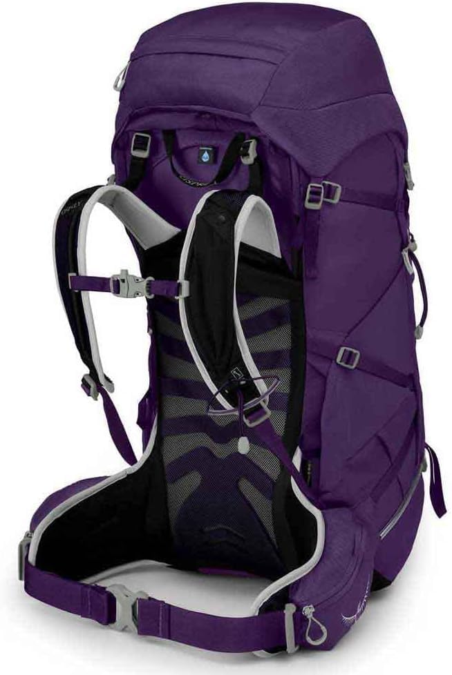 Osprey Tempest 40 Women's Hiking Backpack, Violac Purple, WM/L