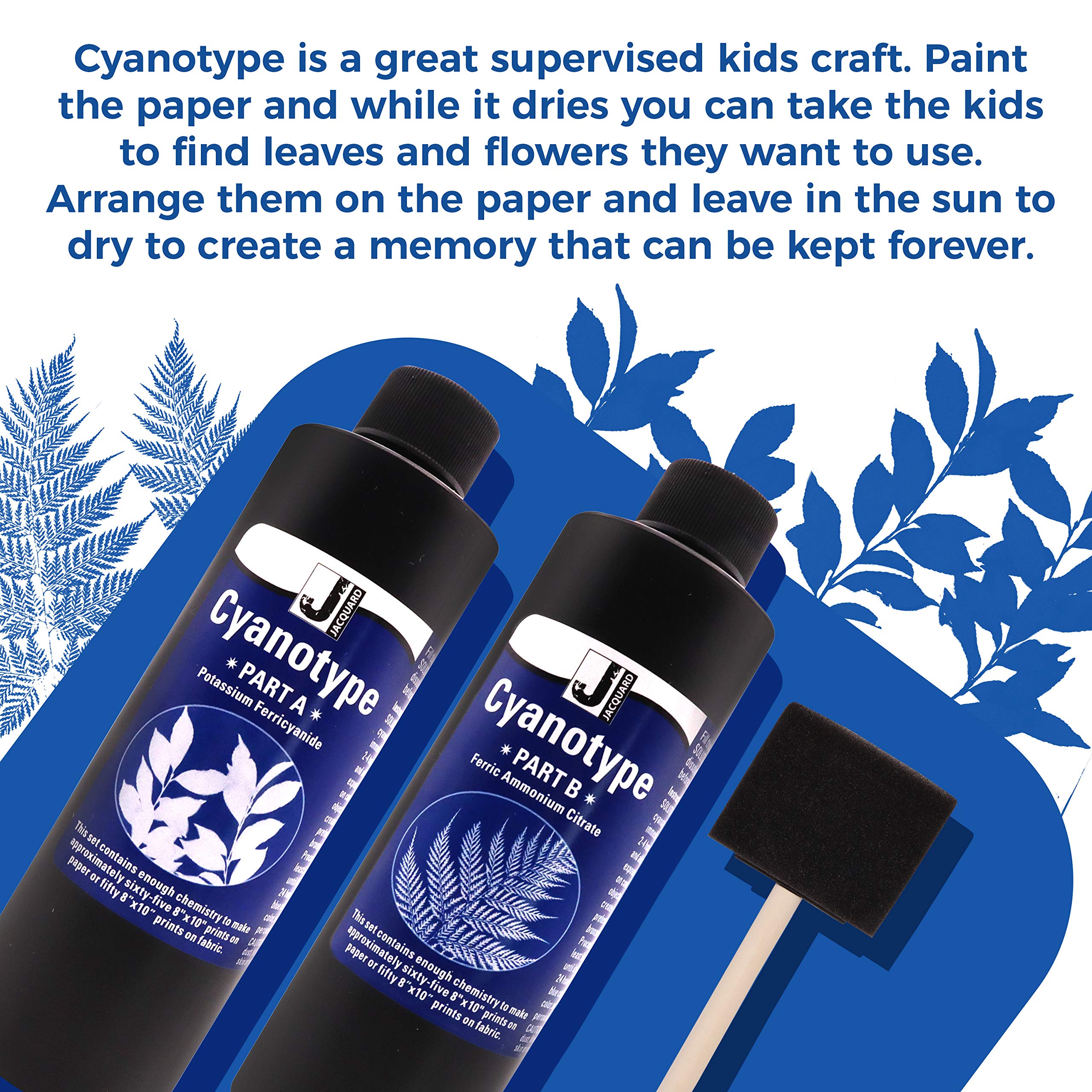 Jacquard Cyanotype - for Photographic Blueprints on Paper and Fabric - 2 Component Sensitizer Set - Bundled with Moshify Sponge Brush for Application