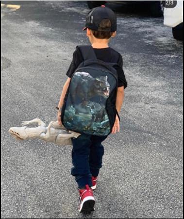 Dinosaur School Bag Rucksack Backpack (Dinosaur 5 14 Inch)