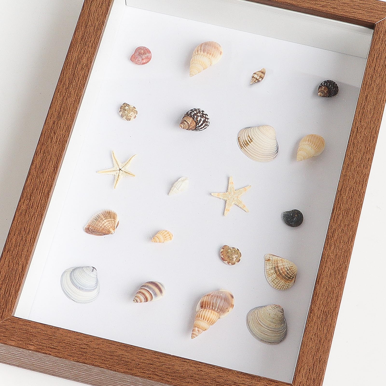 HAPY SHOP 1200 PCS Tiny Sea Shells Small Natural Starfish Mixed Ocean Beach Spiral Seashells for Home Decorations,Wedding Decor,Candle Making,Beach Theme Party,DIY Crafts and Vase Filler