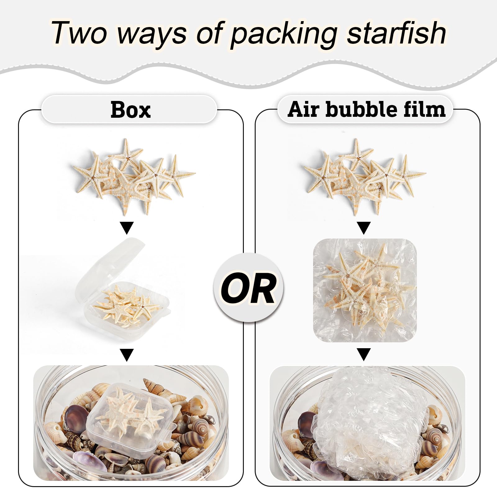 HAPY SHOP 1200 PCS Tiny Sea Shells Small Natural Starfish Mixed Ocean Beach Spiral Seashells for Home Decorations,Wedding Decor,Candle Making,Beach Theme Party,DIY Crafts and Vase Filler