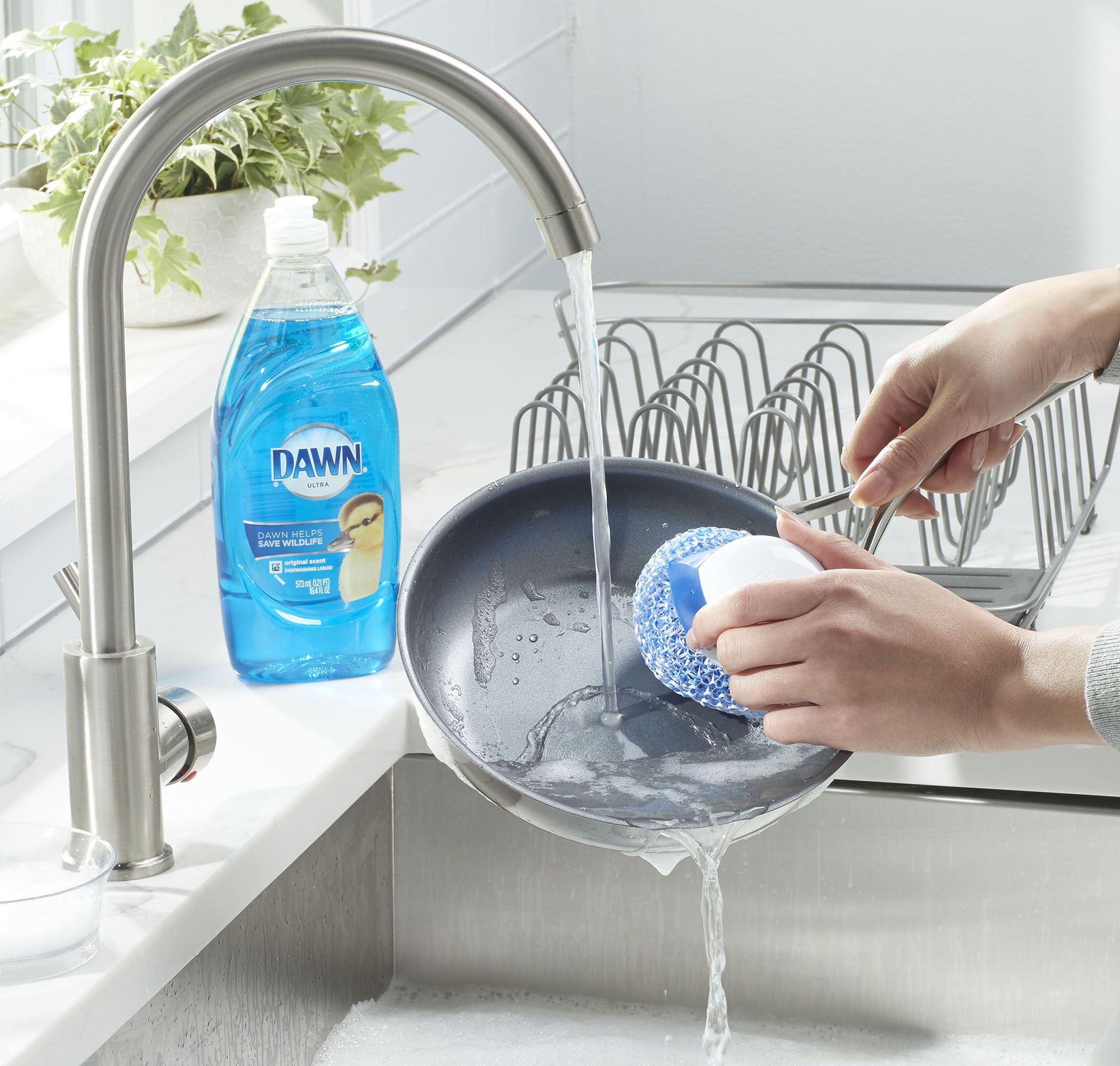 Dawn Handi Scrub and Storage Dish, 3.4 x 4.2 x3.7 Inch, White/Blue