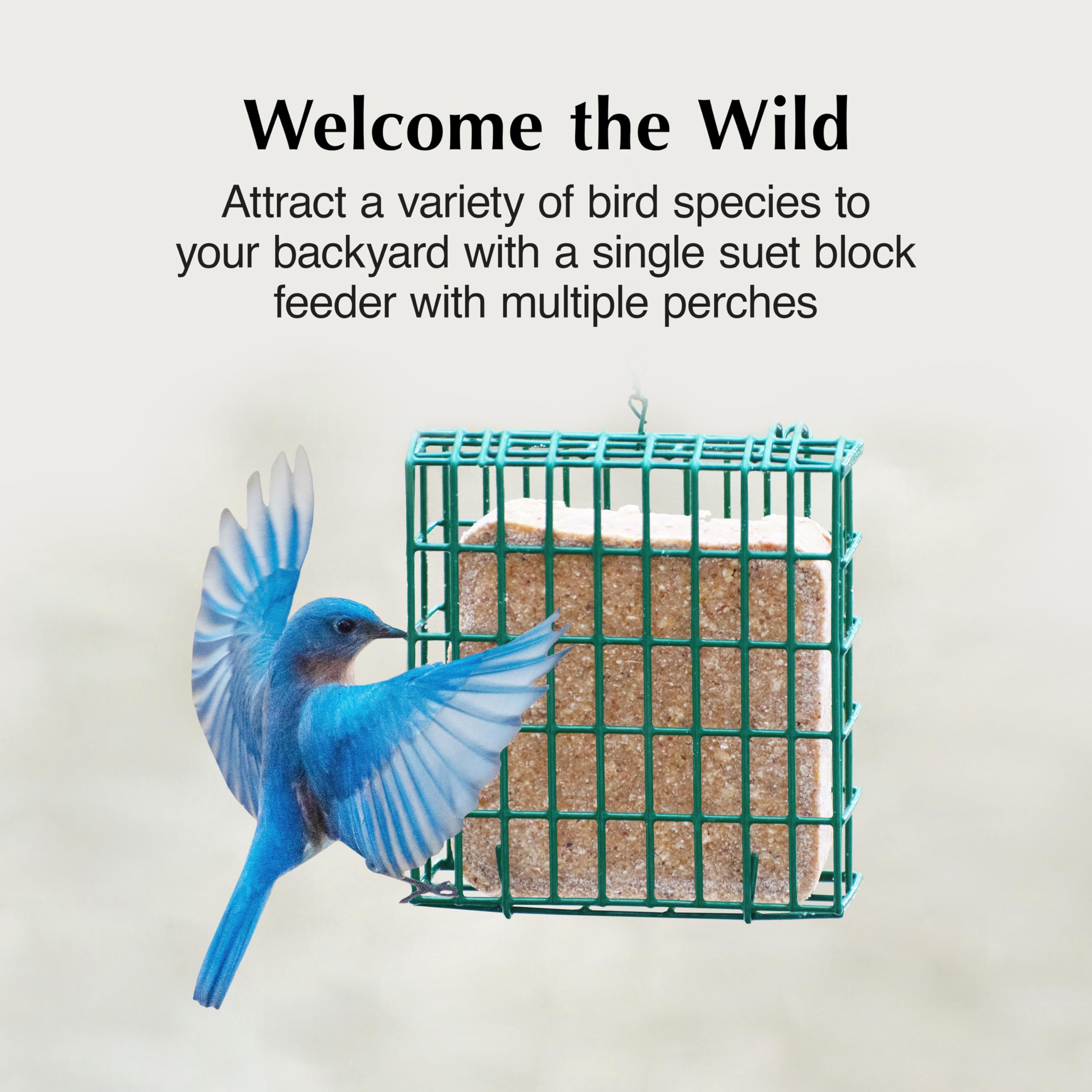 C&S Wild Bird EZ Fill Suet Basket, Green