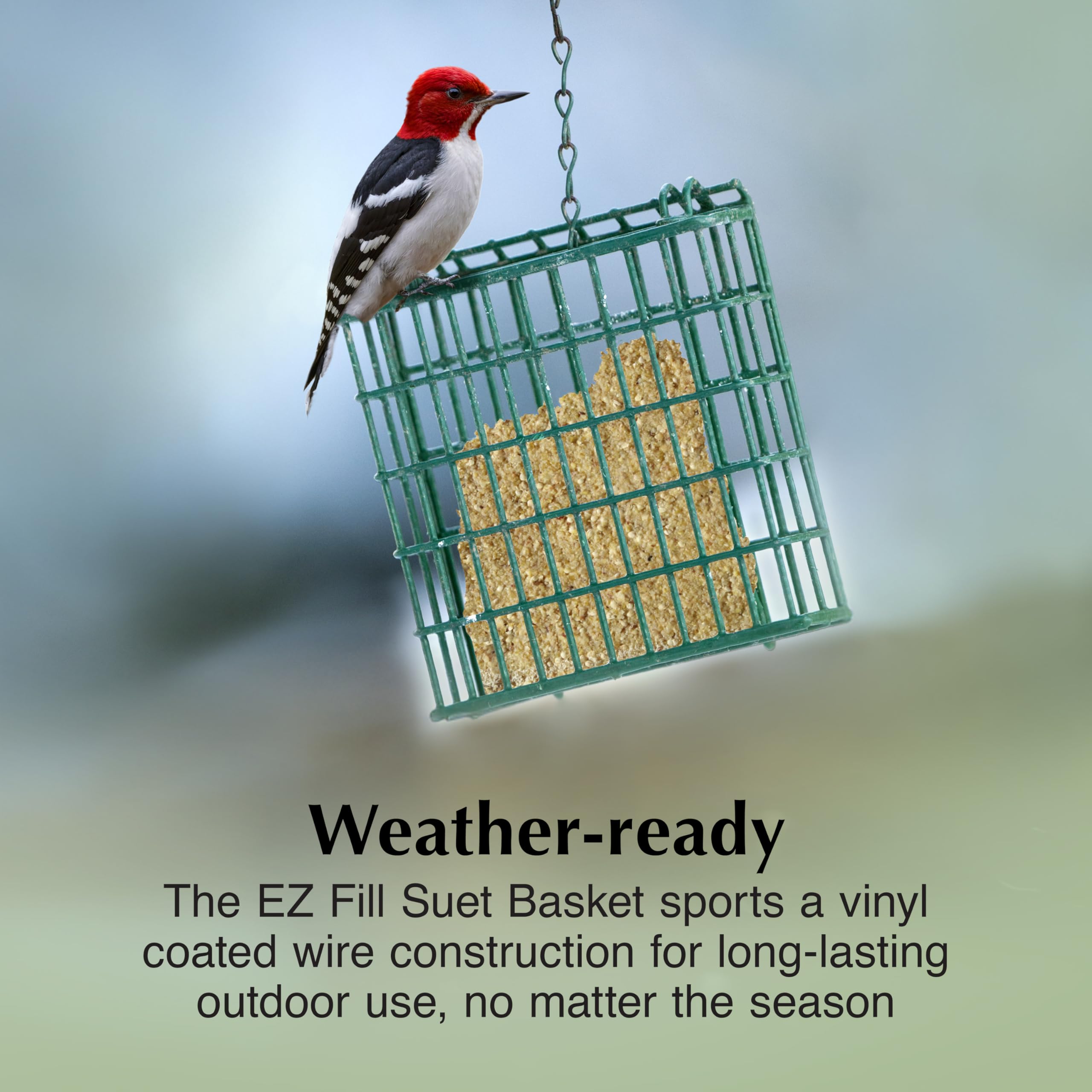 C&S Wild Bird EZ Fill Suet Basket, Green
