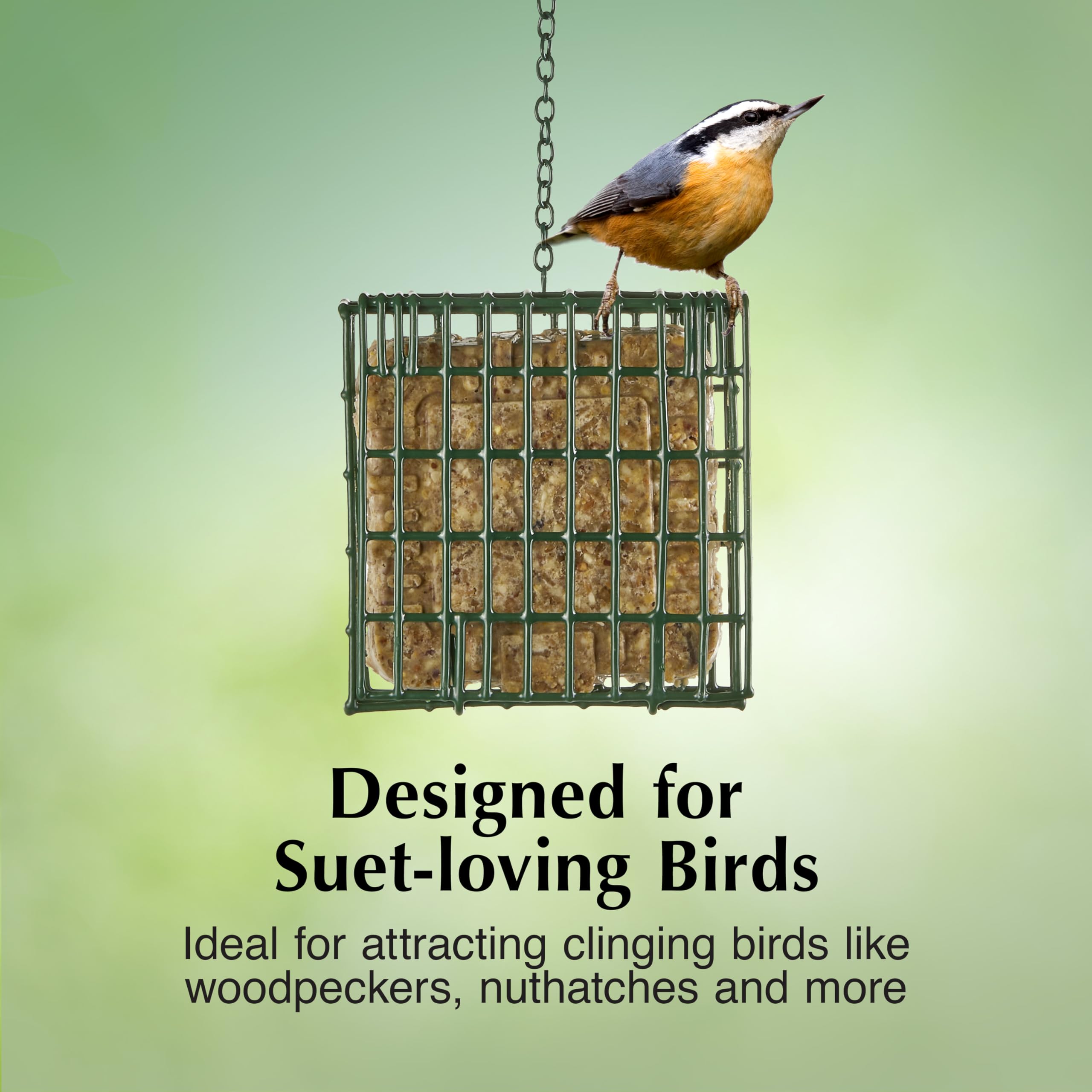 C&S Wild Bird EZ Fill Suet Basket, Green