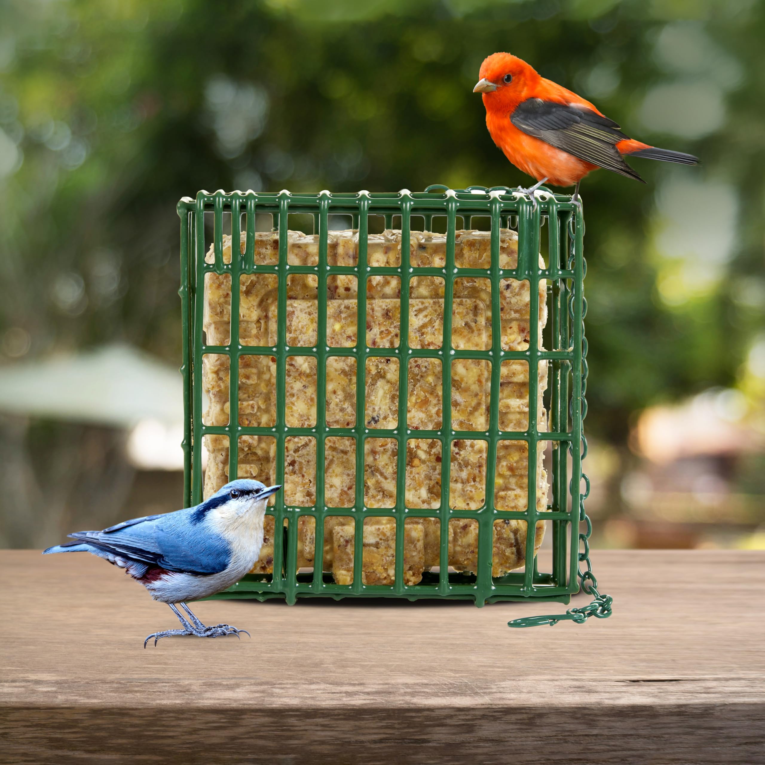 C&S Wild Bird EZ Fill Suet Basket, Green
