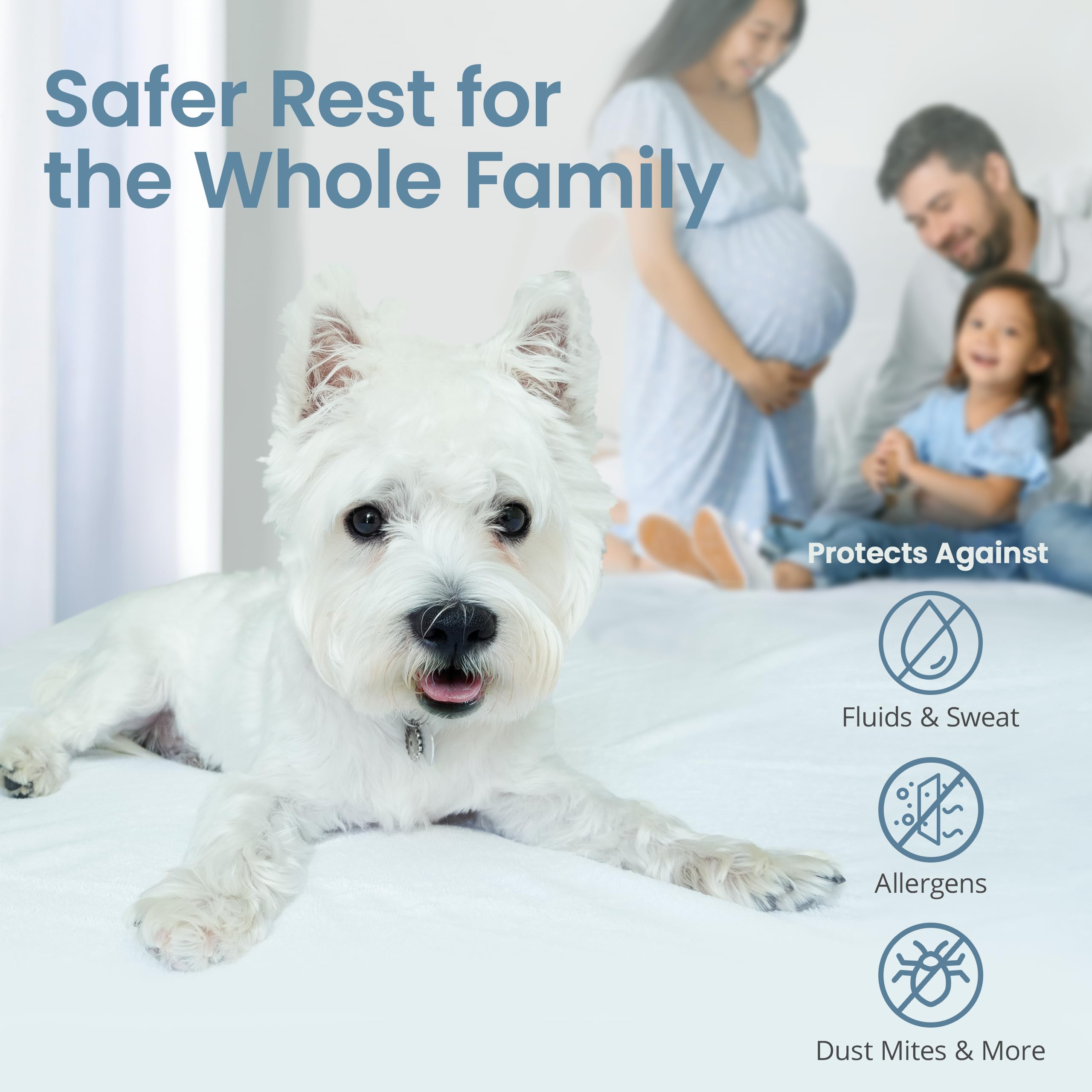 SafeRest Mattress Protector – Queen - College Dorm Room, New Home, First Apartment Essentials - Cotton, Waterproof Mattress Cover Protector and Encasement