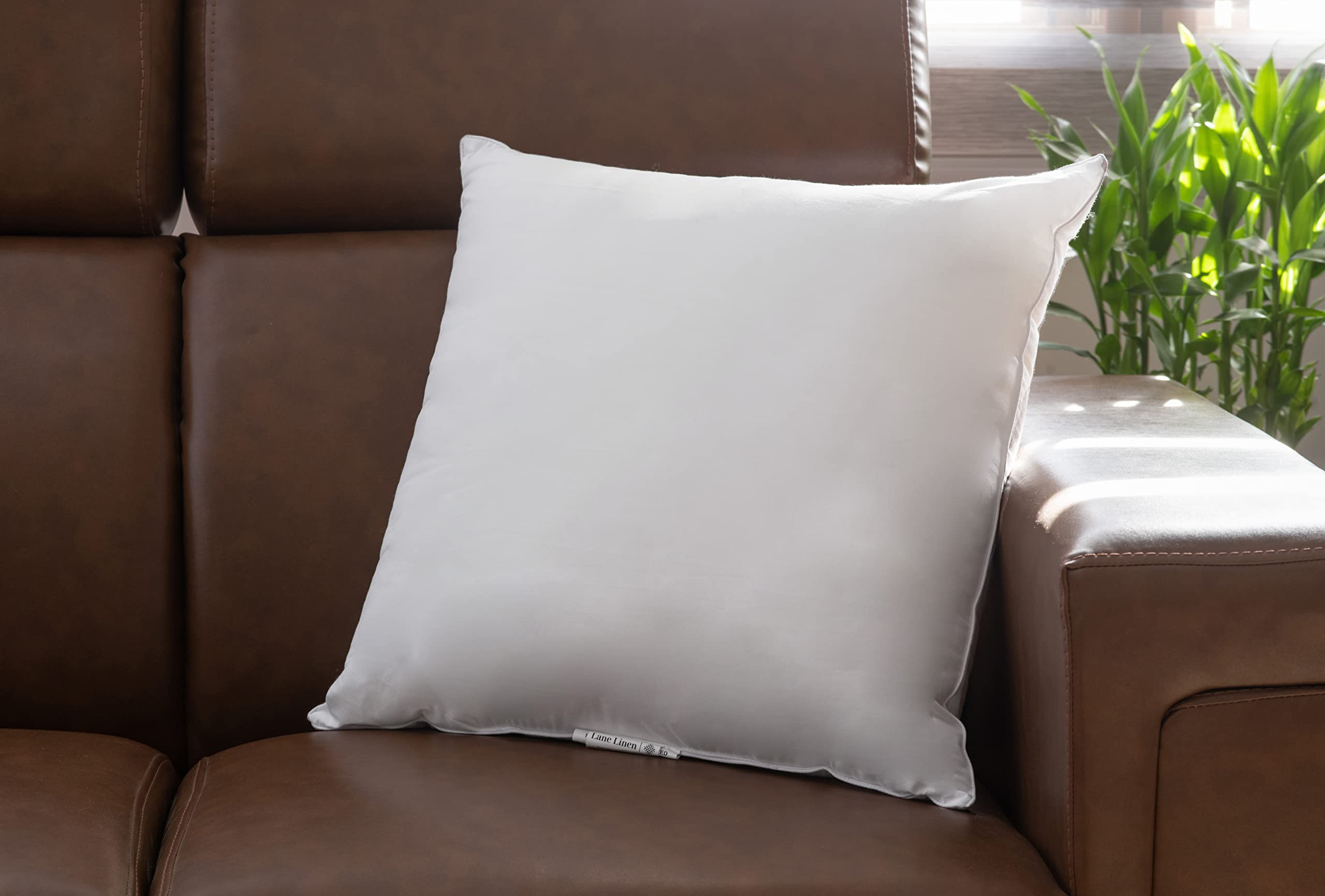 18 x 18 Throw Pillow Insert - Pack of 2 White Throw Pillows, Down Alternative Pillow Inserts for Decorative Pillow Covers, Throw Pillows for Bed, Couch Pillows for Living Room