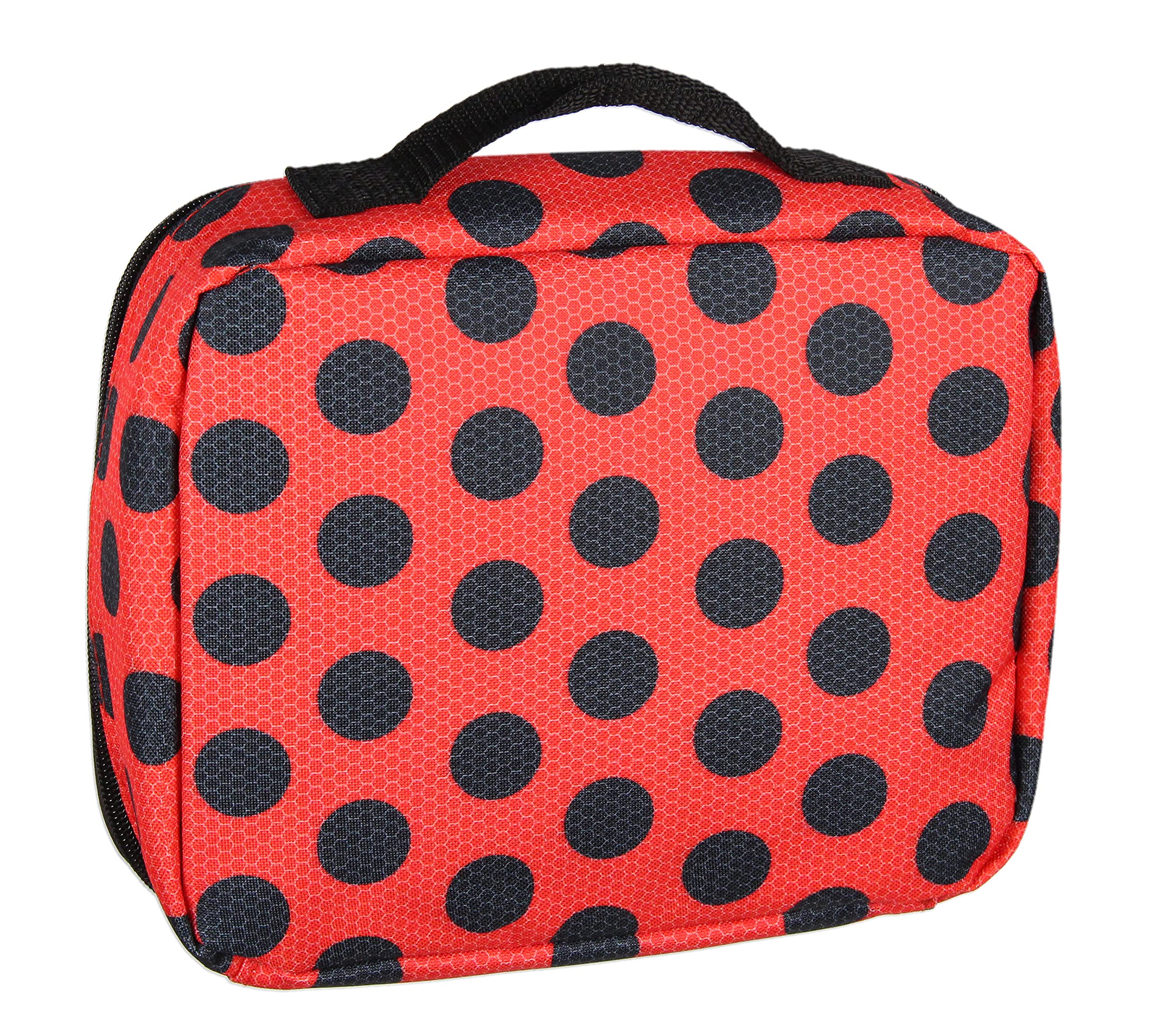 Miraculous Tales of Ladybug & Cat Noir Characters 5 PC Backpack Lunchbox Icepack Water Bottle