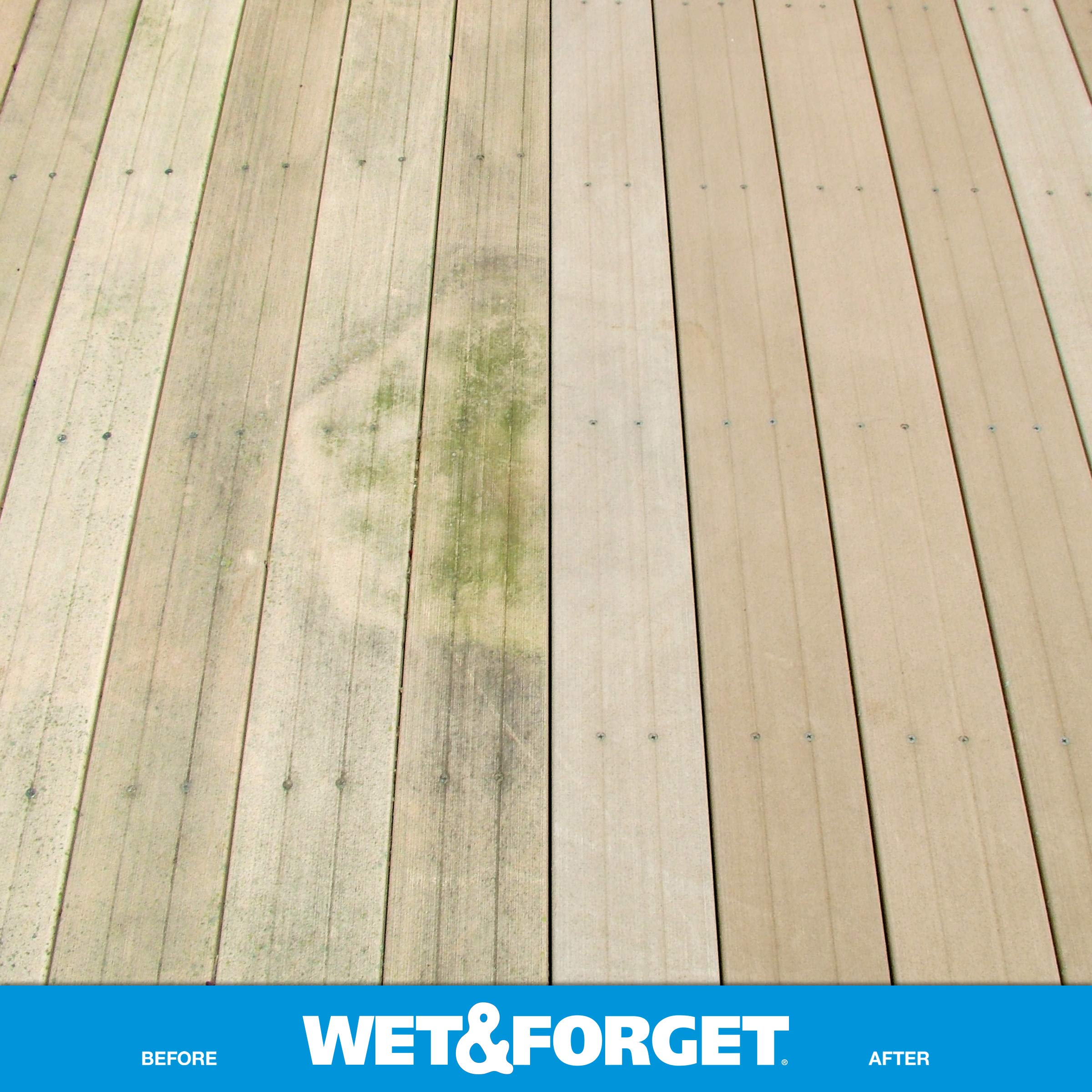 Wet & Forget Moss, Mold, Mildew, & Algae Stain Remover Multi-Surface Outdoor Cleaner Concentrate, Original, 128 Fluid Ounces