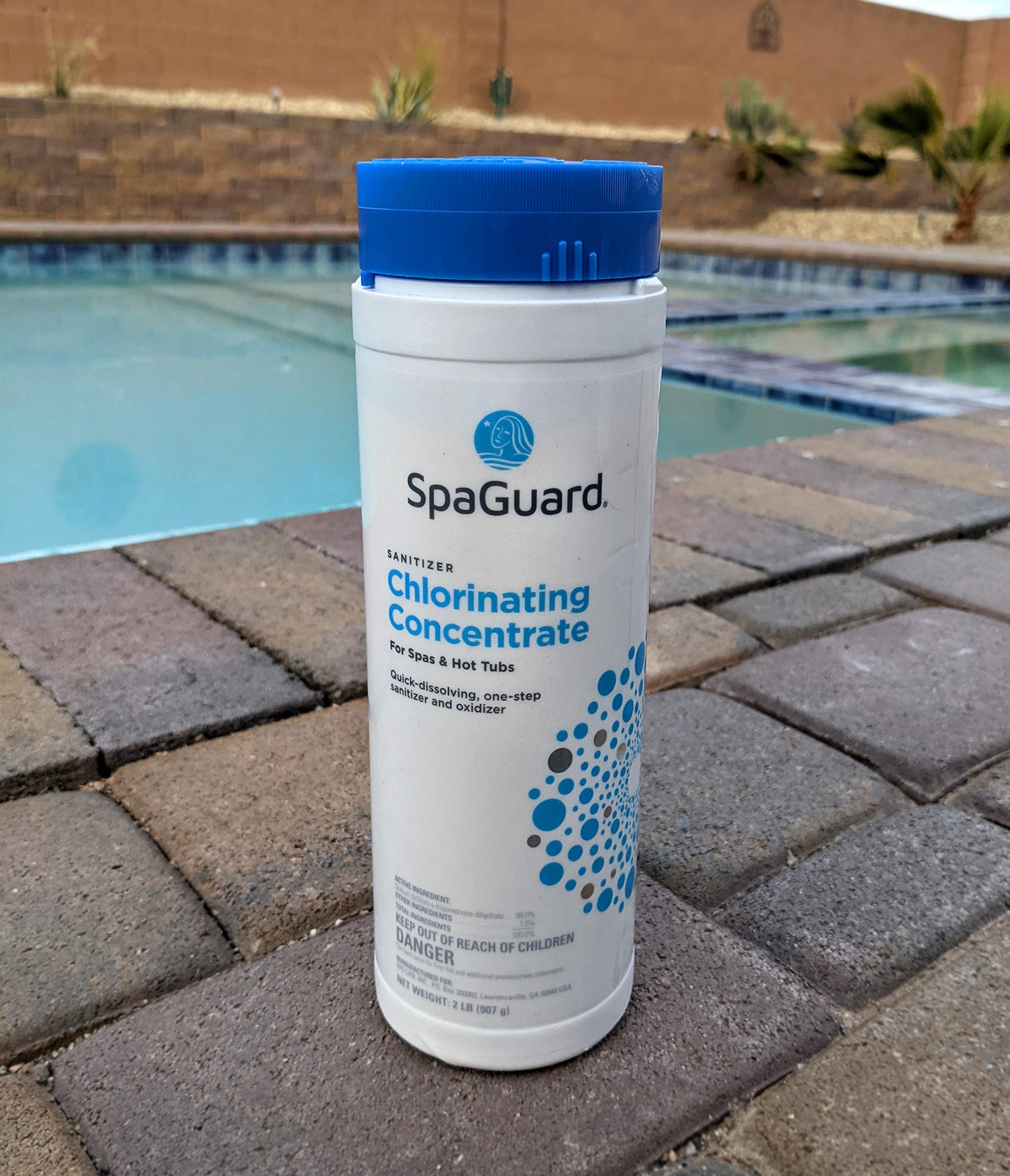 SpaGuard Chlorinating Concentrate - 2 lbs