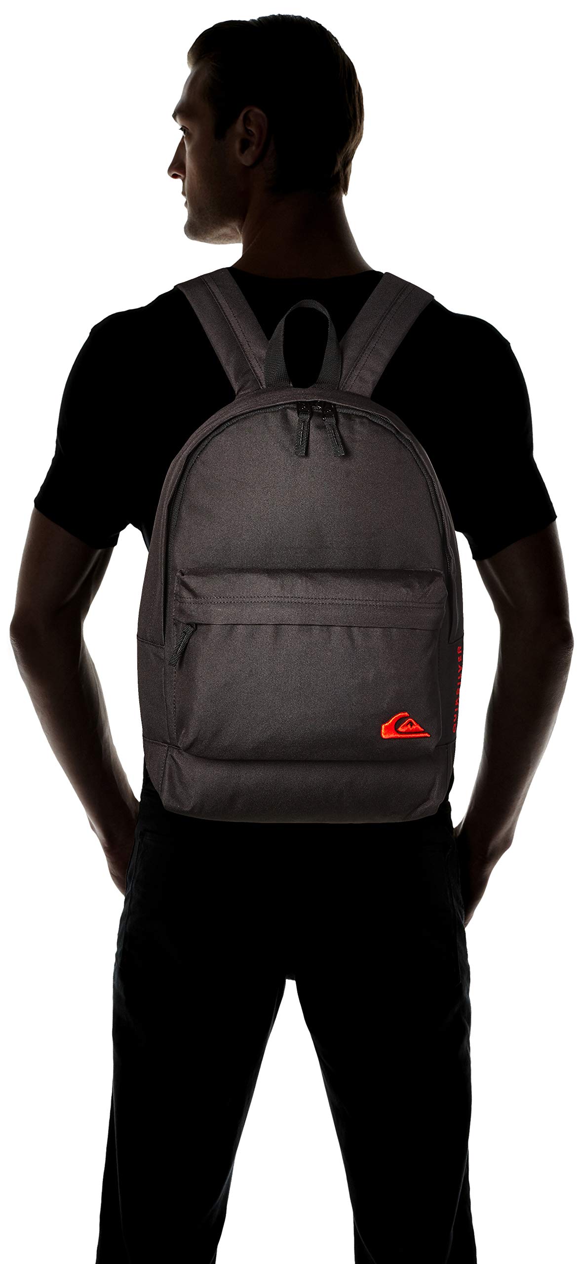 Quiksilver Men's Small Everyday Edition, Backpack, Black, Volume: 18L