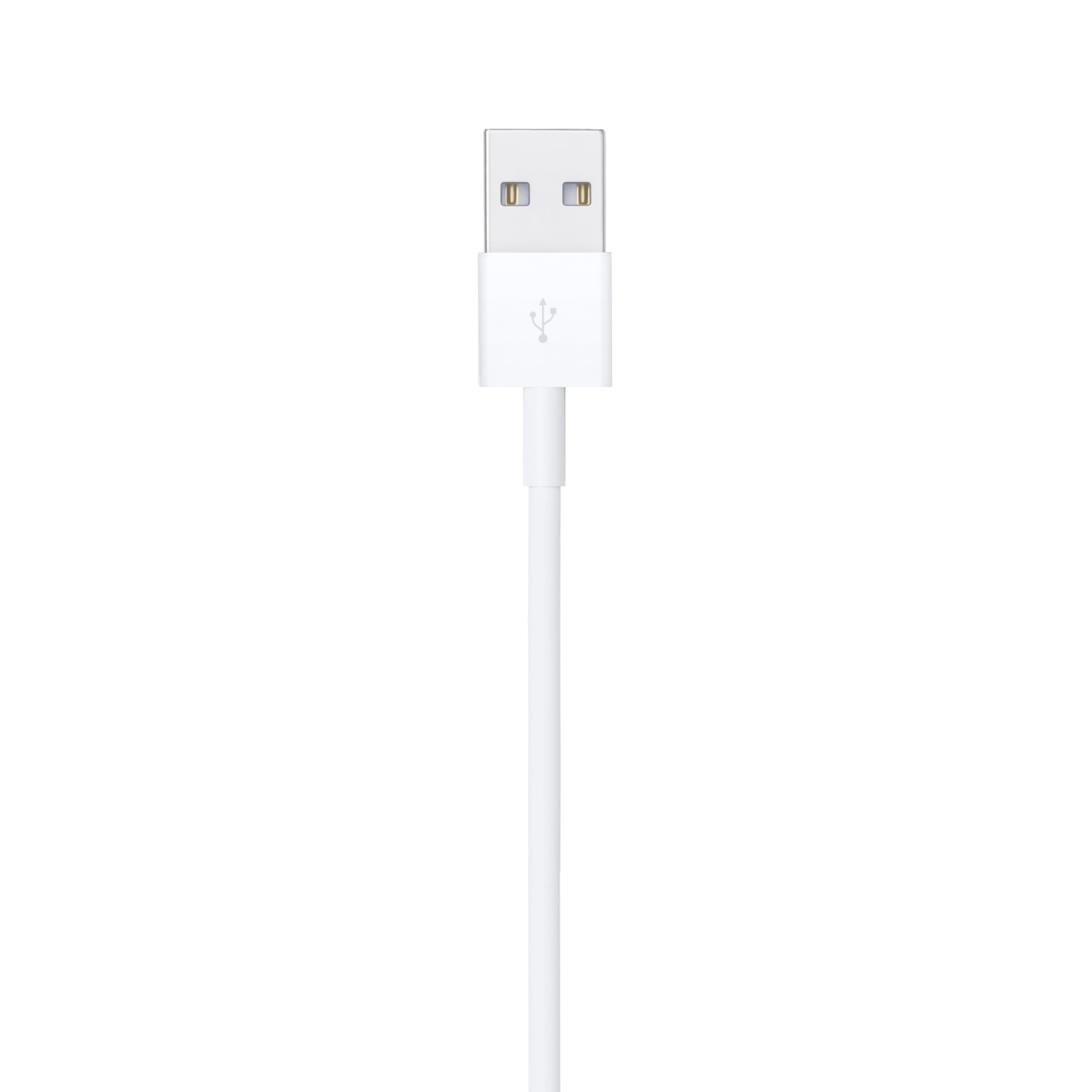 Apple Lightning to USB Cable (2 m)