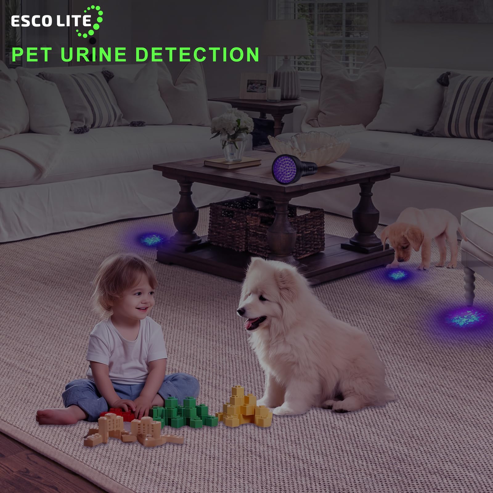 Escolite UV Flashlight Black Light 51 LED 395 nM Ultraviolet Blacklight Flashlite for Pet Urine Detection,Dry Stains,Bed Bug,Scorpion,Dog/Cat Urine Light Detector Matching with Pet Odor Eliminator