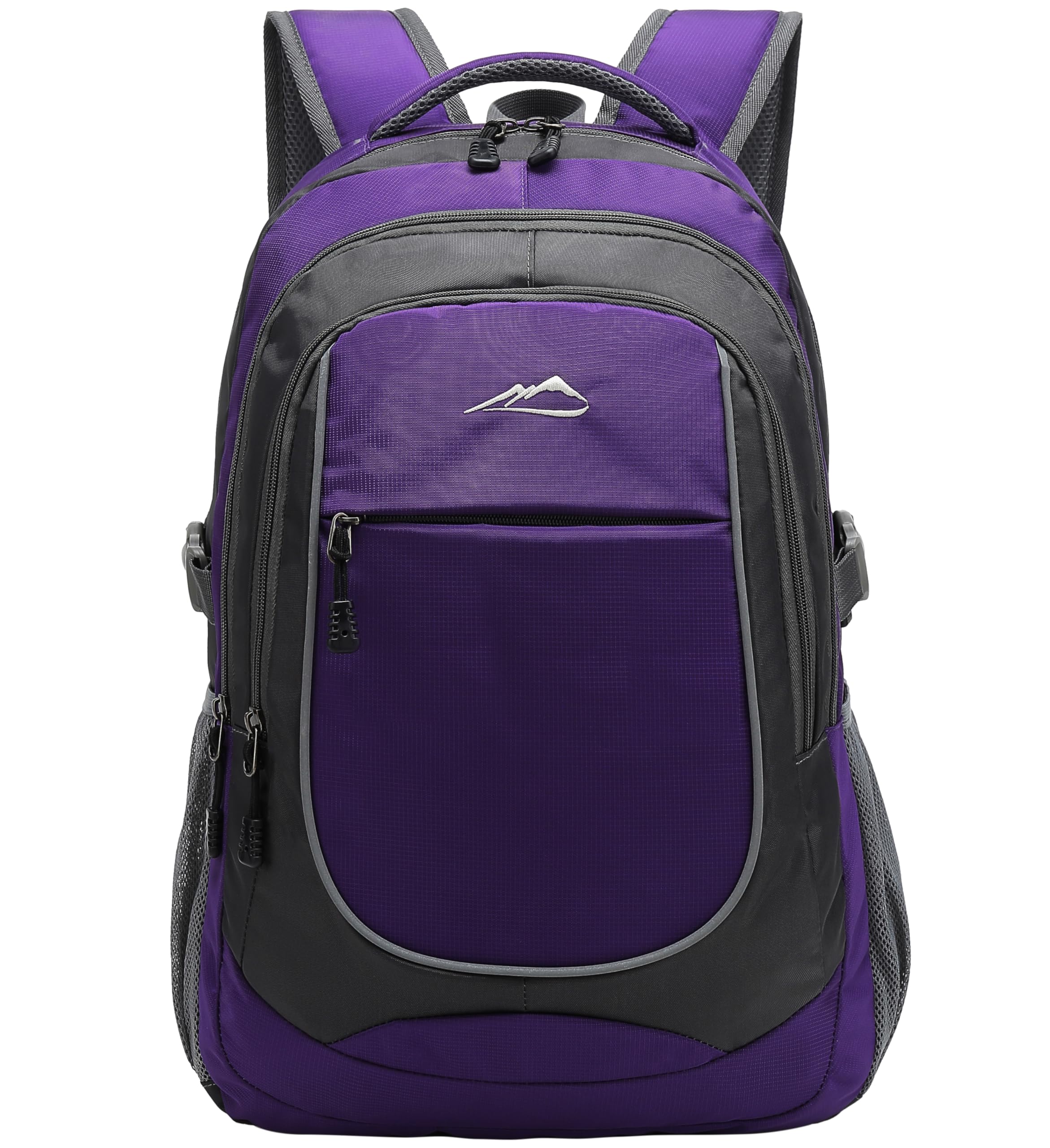 Backpack for School College Student Sturdy Bookbag Travel Business with USB Charging Port Laptop compartment Chest Straps Anti Theft Night Light Reflective (Purple)