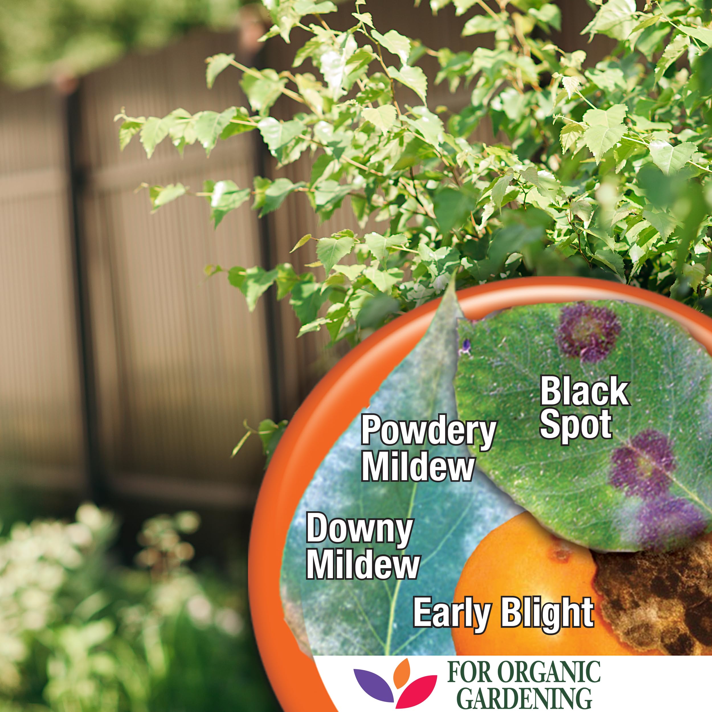 Bonide Captain Jack's Copper Fungicide, 32 oz Ready-to-Use Spray for Organic Gardening, Controls Common Diseases