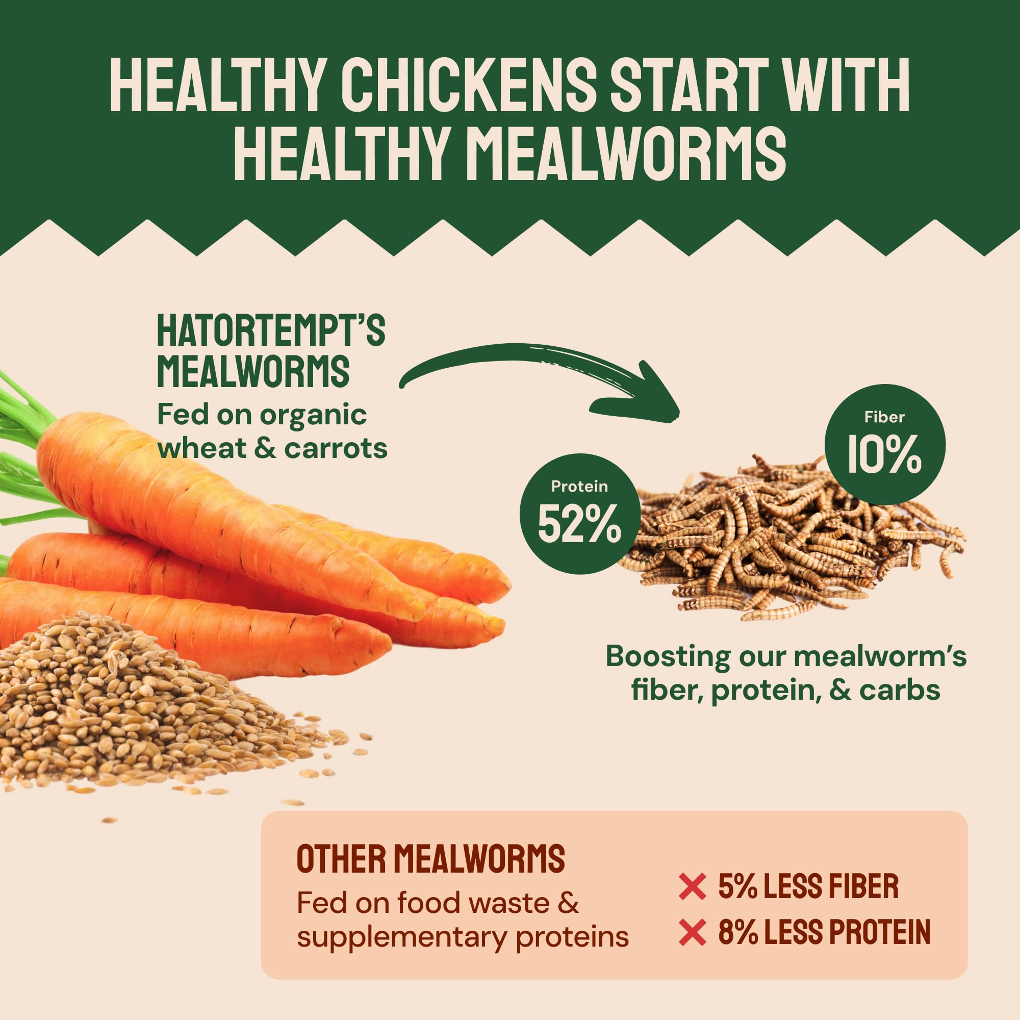 Hatortempt 5 lbs Non-GMO Dried Mealworms-High-Protein Mealworms for Wild Bird ,Chicken, Ducks,Fish,Reptile, Tortoise , Amphibian,Lizard