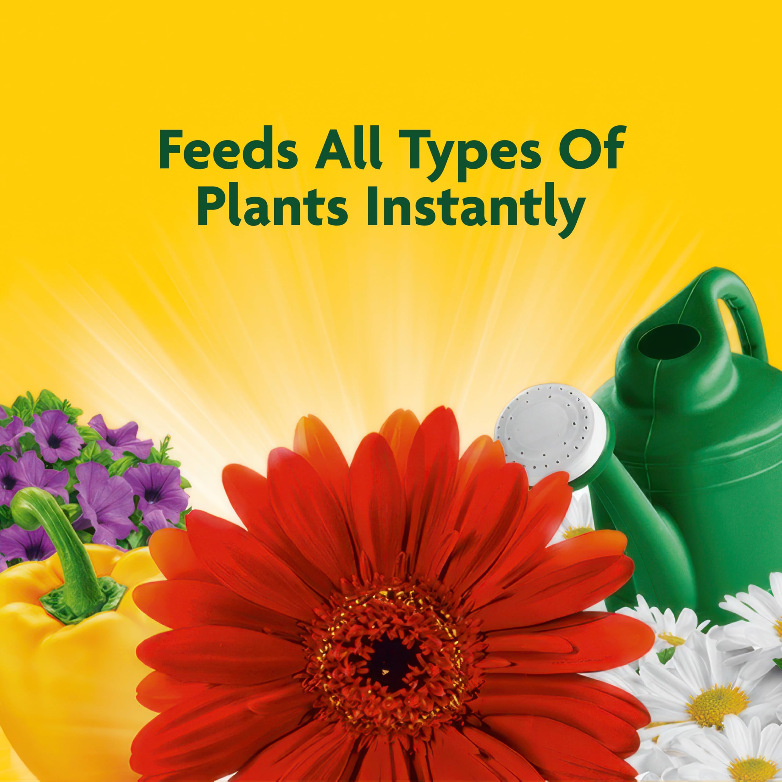 Miracle-Gro Liquid All Purpose Plant Food Concentrate 32 Oz.
