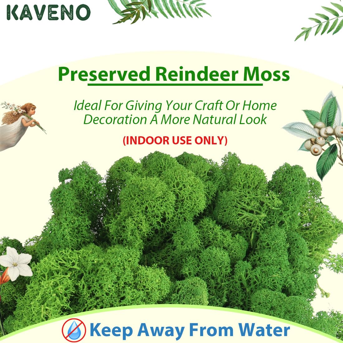 Moss Preserved, Green Moss for Fairy Gardens, Terrariums, Any Craft or Floral Project or Wedding Other Arts (Green, 3OZ)
