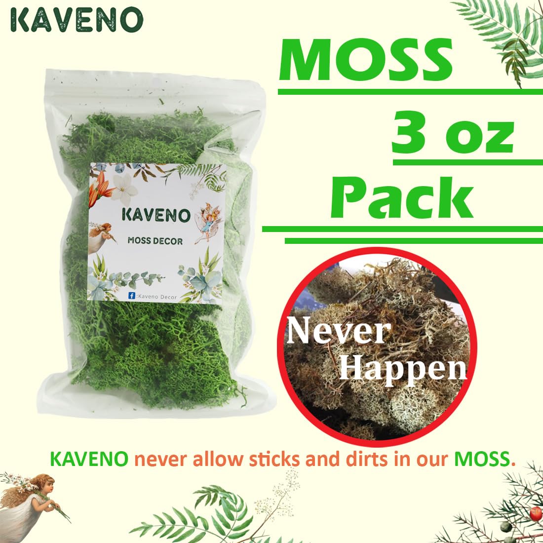 Moss Preserved, Green Moss for Fairy Gardens, Terrariums, Any Craft or Floral Project or Wedding Other Arts (Green, 3OZ)