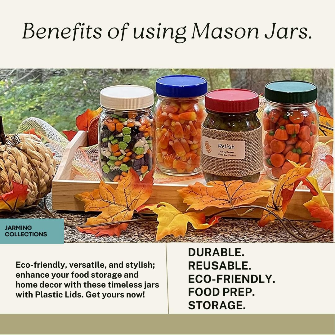 Jarming Collections Mason Jars 16 oz - Glass Jars with Plastic Lids- Glass Storage Jars with Regular Mouth Lids- Jars with Lids- Canning Jars, Pint Jars- Set of 2, 16 oz Mason Jars, White Lids