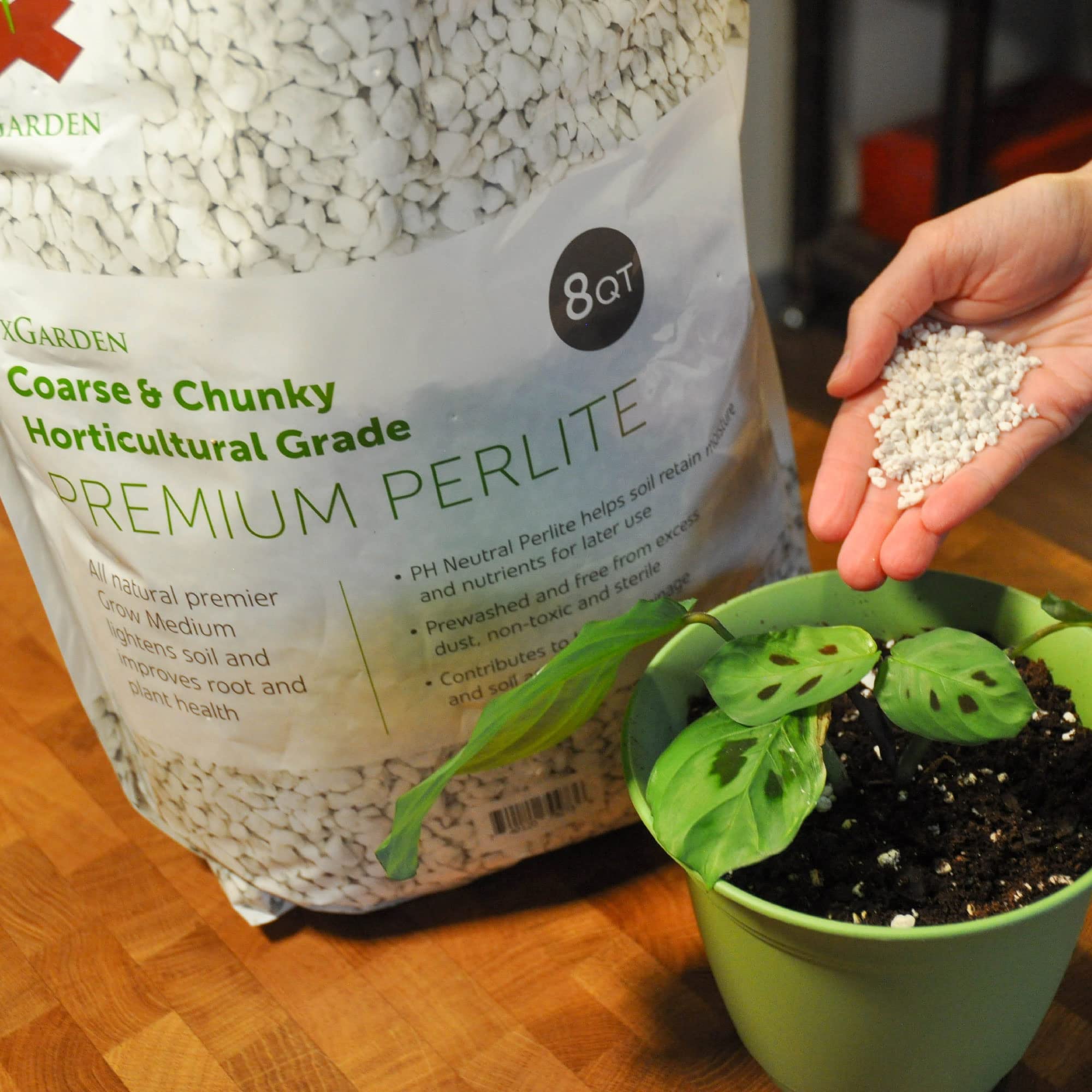 xGarden 8 Quarts Horticultural Grade Premium Perlite - Coarse and Chunky