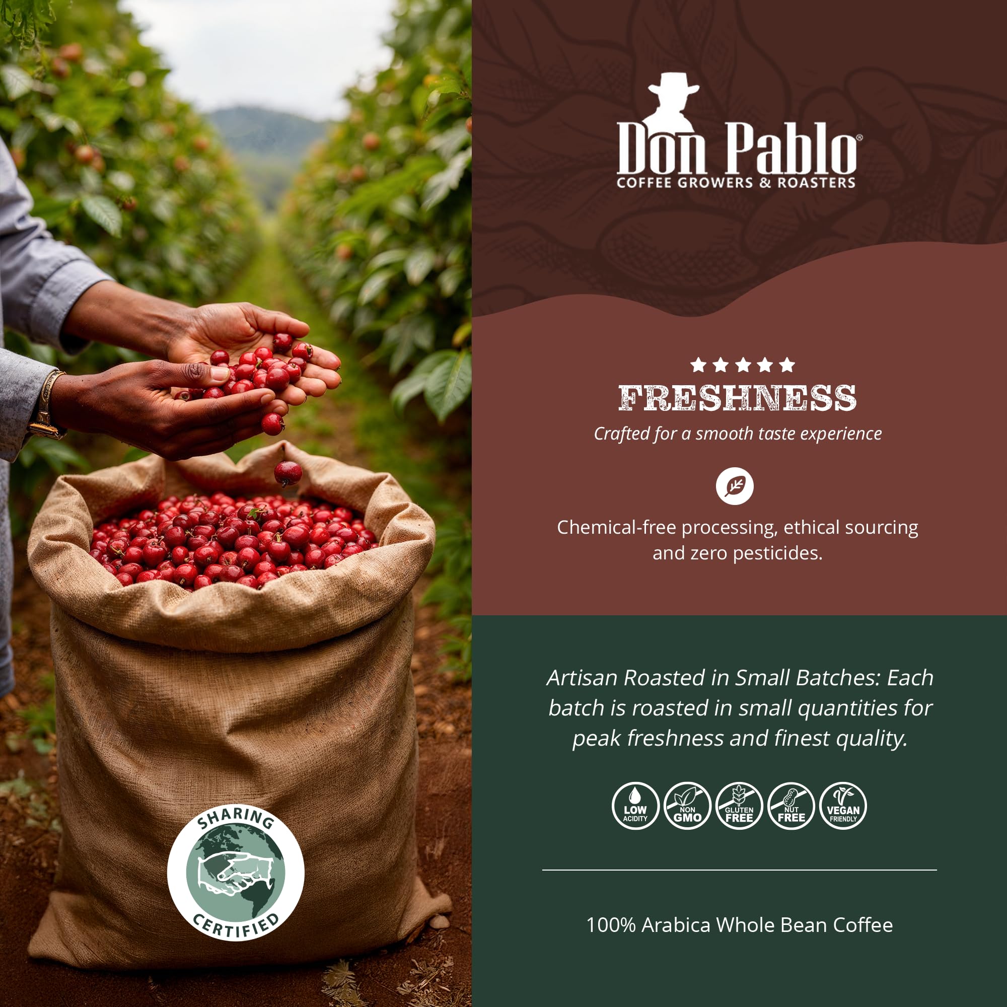Don Pablo Gourmet Coffee - Signature Blend - Medium Dark Roast - Whole Bean Coffee - 100% Arabica Beans - Low Acidity and Non-GMO - 2lb bag