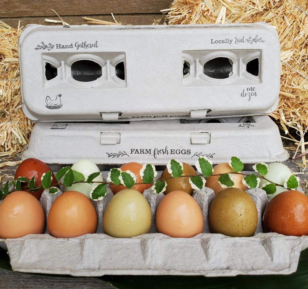 250 Egg Cartons – Vintage Design with Blank Center for Your Custom Stamp at a Cheap Bulk Price, 100% Recycled Biodegradable Cardboard Cartons, Sturdy & Reusable, Holds Small to XL Chicken Eggs