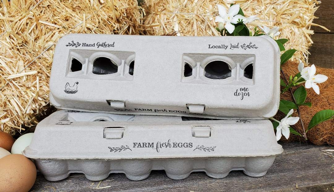 250 Egg Cartons – Vintage Design with Blank Center for Your Custom Stamp at a Cheap Bulk Price, 100% Recycled Biodegradable Cardboard Cartons, Sturdy & Reusable, Holds Small to XL Chicken Eggs