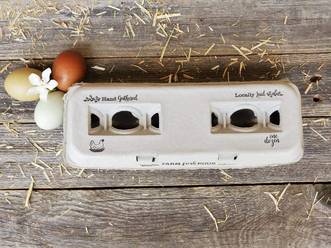 250 Egg Cartons – Vintage Design with Blank Center for Your Custom Stamp at a Cheap Bulk Price, 100% Recycled Biodegradable Cardboard Cartons, Sturdy & Reusable, Holds Small to XL Chicken Eggs